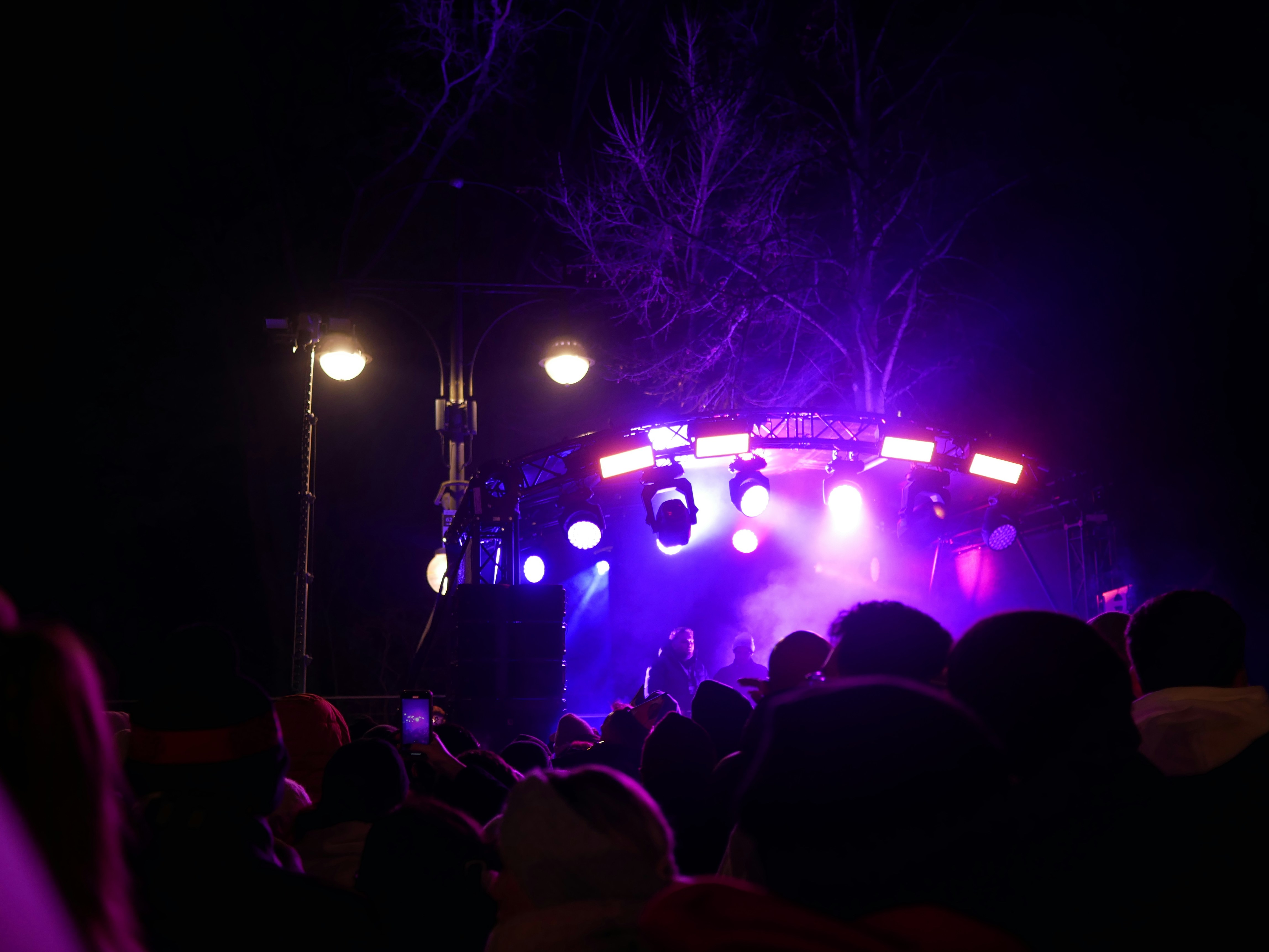 Midnight Pulse: Crowd Silhouettes Meet a Neon-Soaked Stage