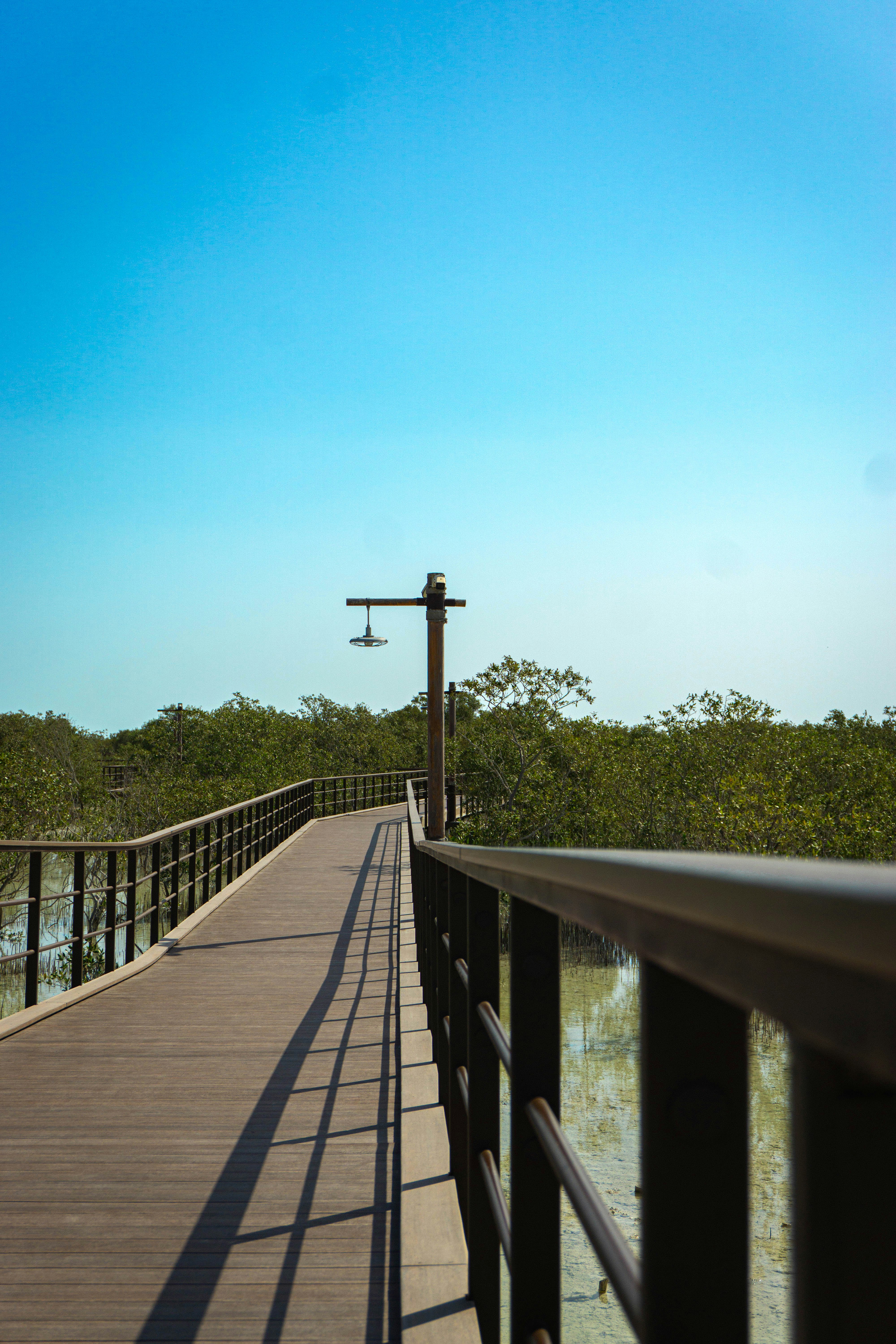 Wooden boardwalk winding through lush mangroves under a clear blue sky, illuminated by soft sunlight. A lamp hangs overhead, adding to the tranquil atmosphere.
