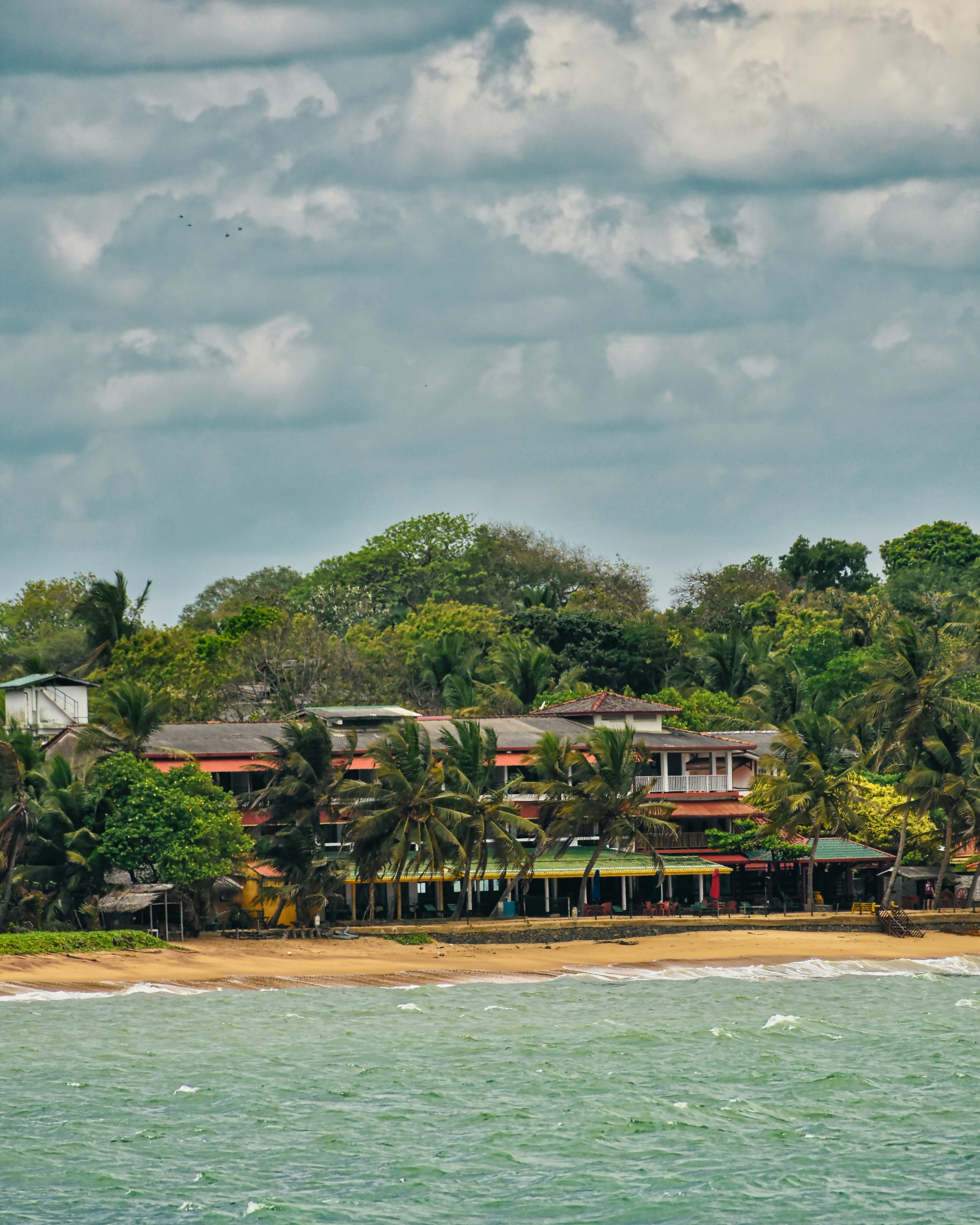 Coastal Retreat Amidst Lush Greenery