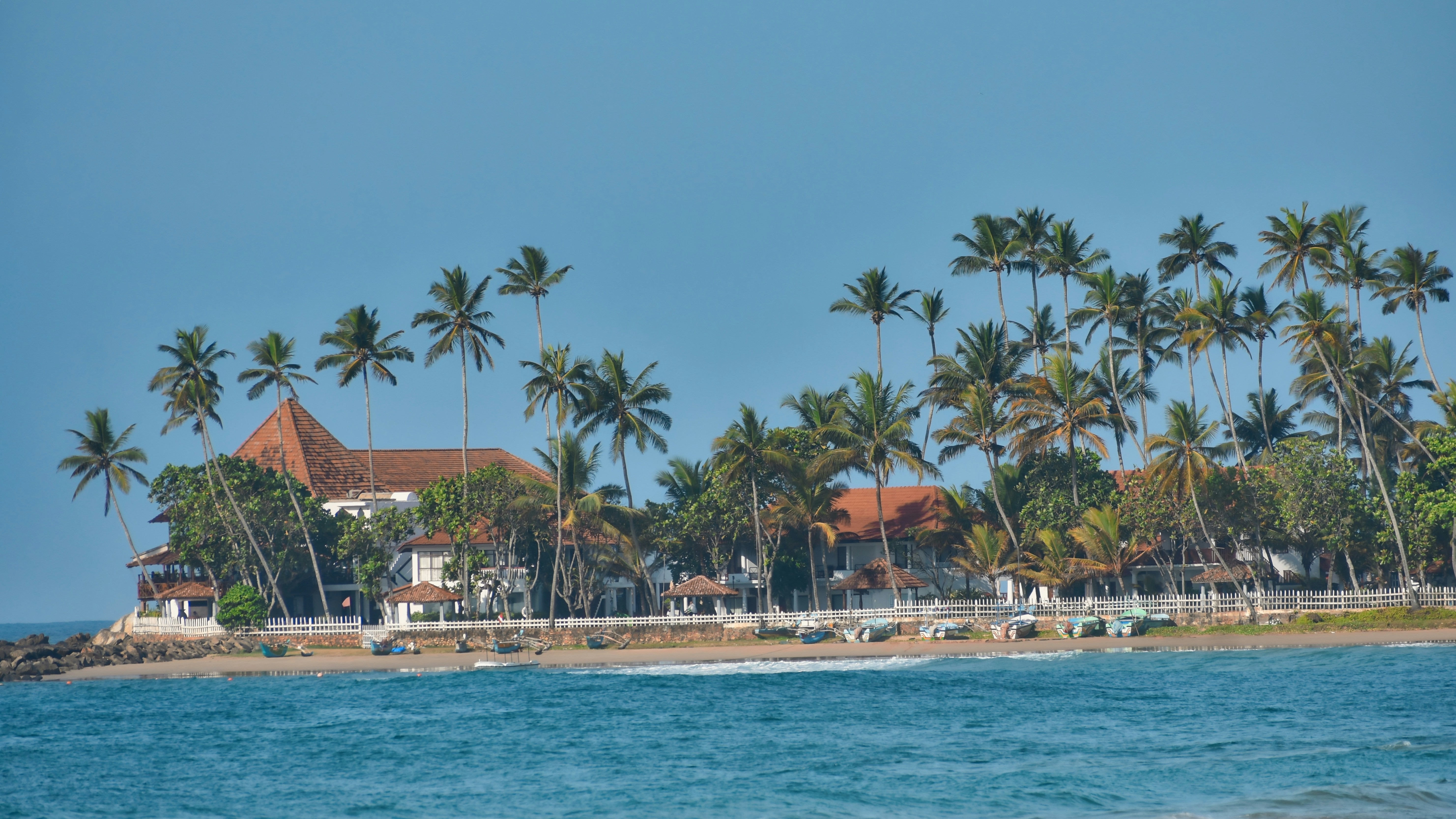 A coastal resort nestled among palm trees, showcasing a blend of lush greenery and inviting architecture. The tranquil ocean waves gently lap at the sandy beach.