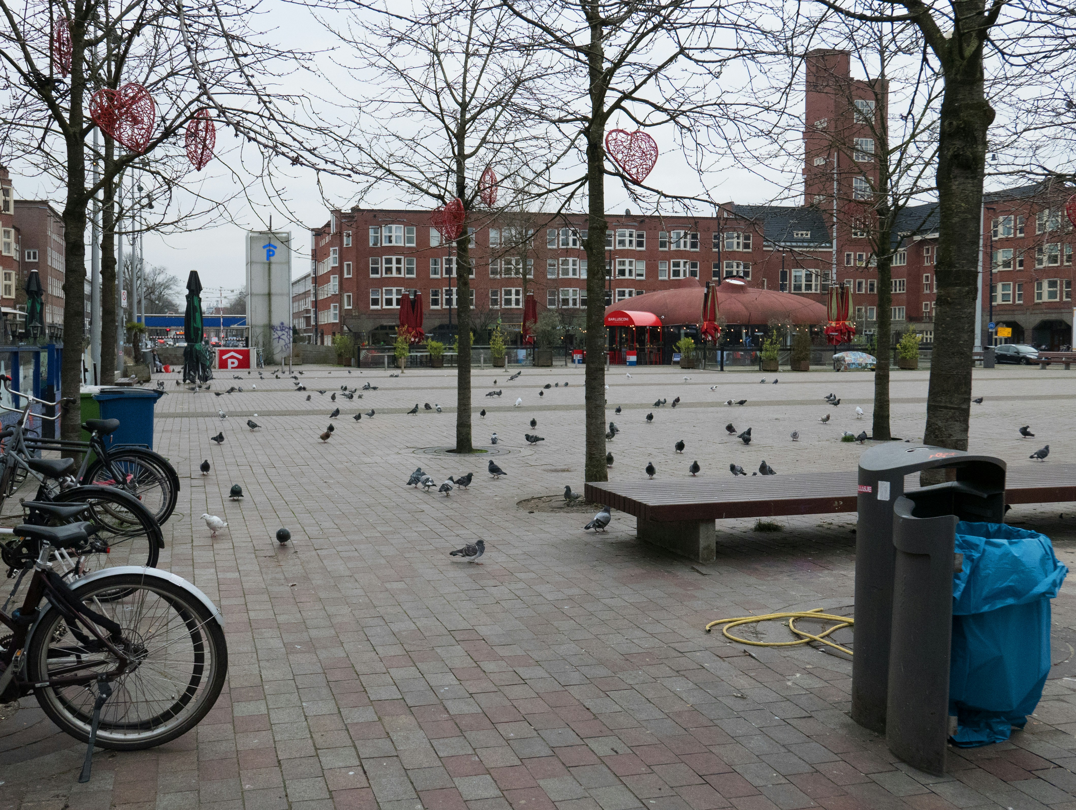 Free photo of a grey street view over the city square Mercatorplein in Amsterdam, in winter o a grey day in February. The pigeons are spread between the bare trees on the brick pavement. Street photography, free image CC0 & high resolutions by Fons Heijnsbroek, The Netherlands Dutch / Nederlands: 2025 - gratis download foto van het Mercatoplein in Amsterdam op een grijze dag in februari. Met een groep duiven tussen de kale winter bomen. - straatfotografie - foto in hoge resolutie CC0, Fons Heijnsbroek.