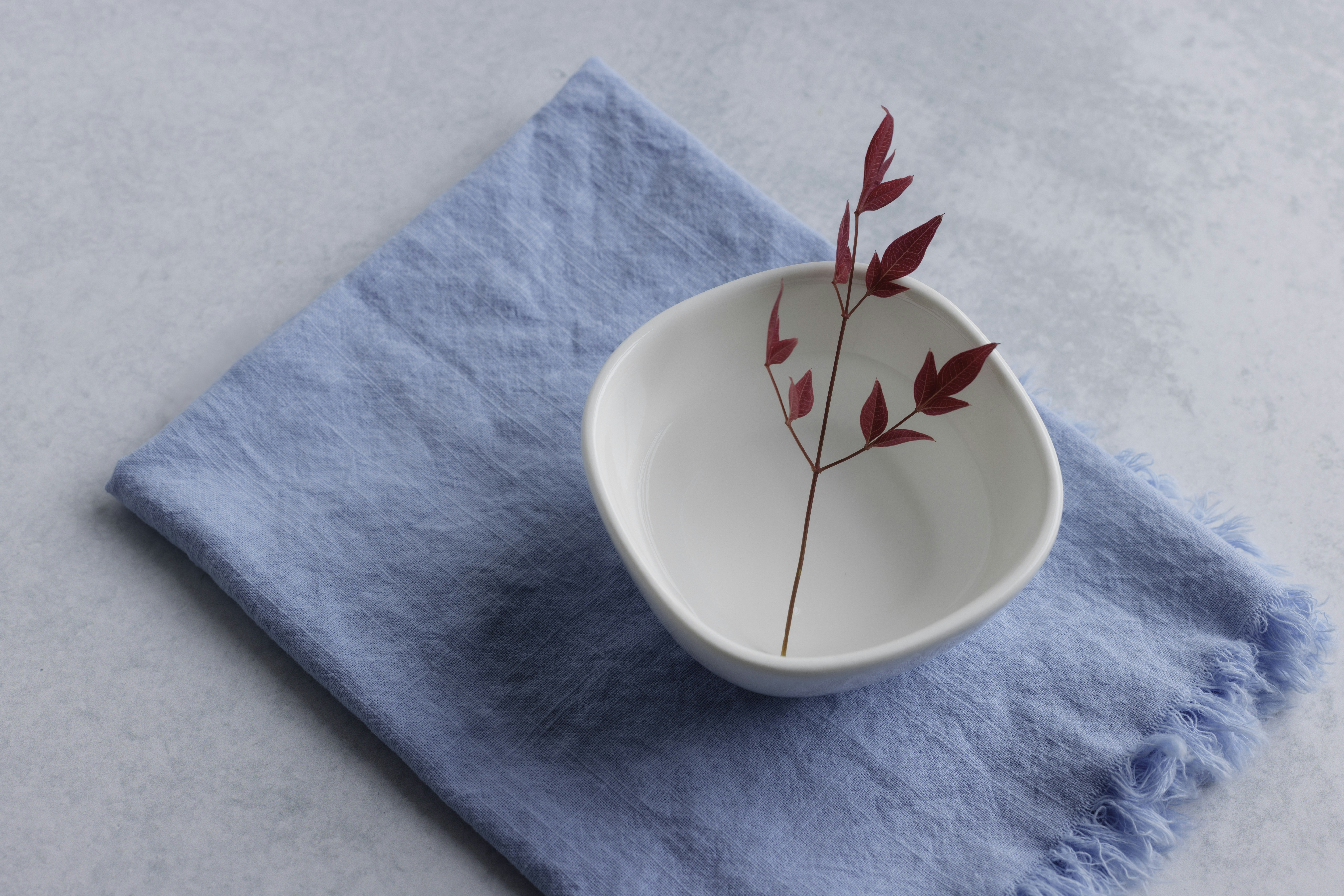 Crimson Sprig in a White Cup: A Quiet Still-Life on Blue Linen