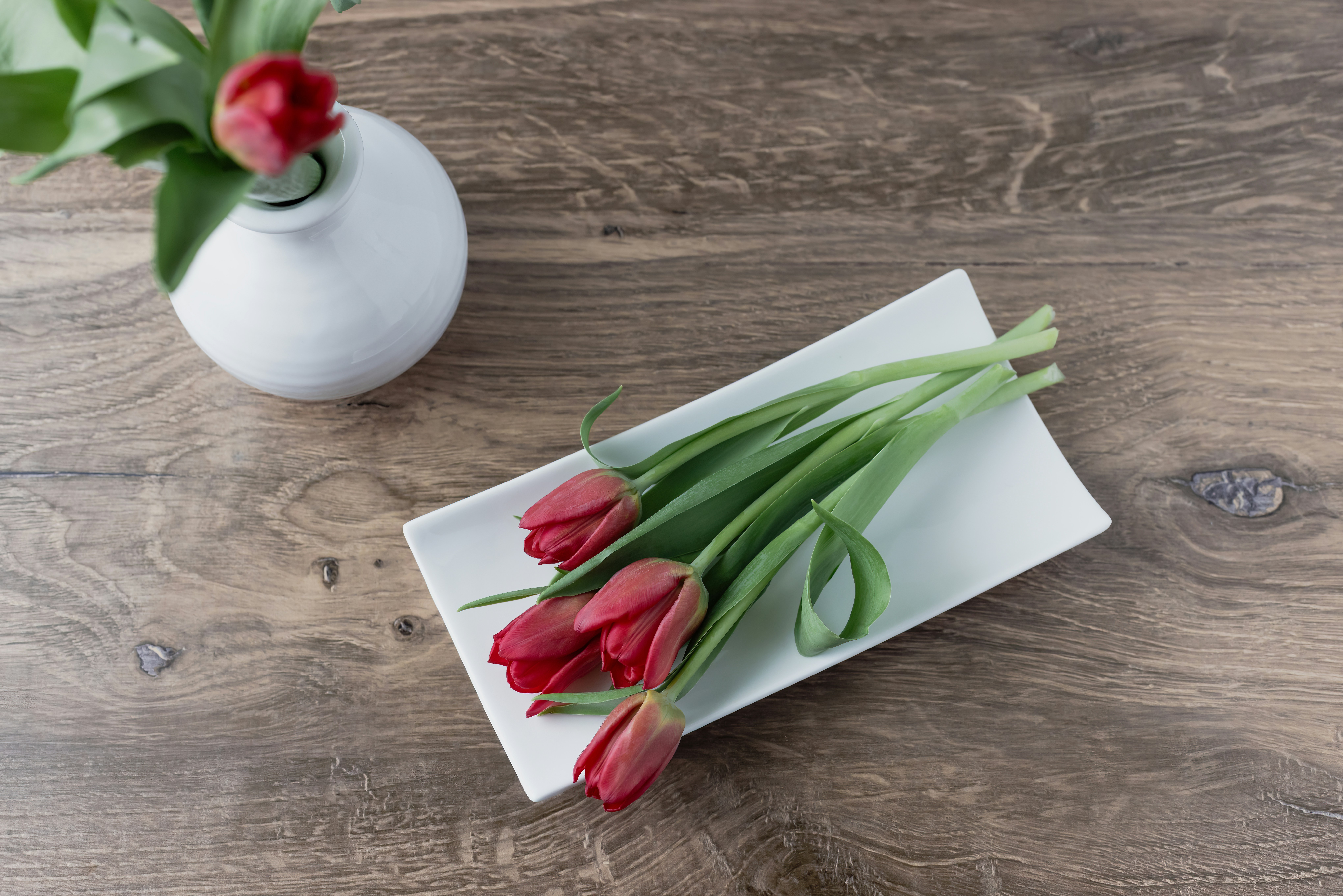 A delicate arrangement of red tulips resting on a white plate beside a white vase, showcasing the beauty of nature in a minimalist setting.