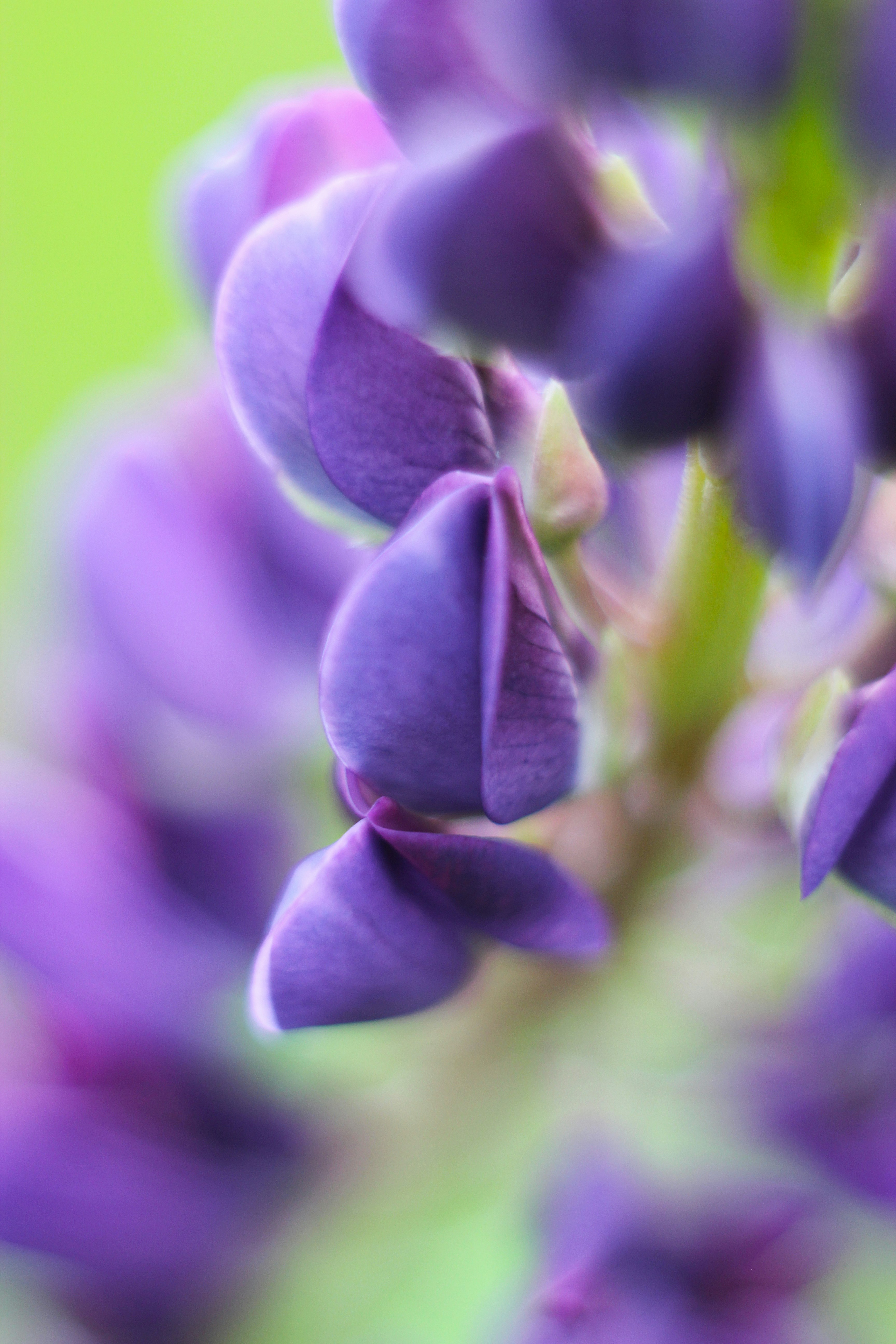 Photo by Svitlanka Dlinnaya with Canon EOS 550D