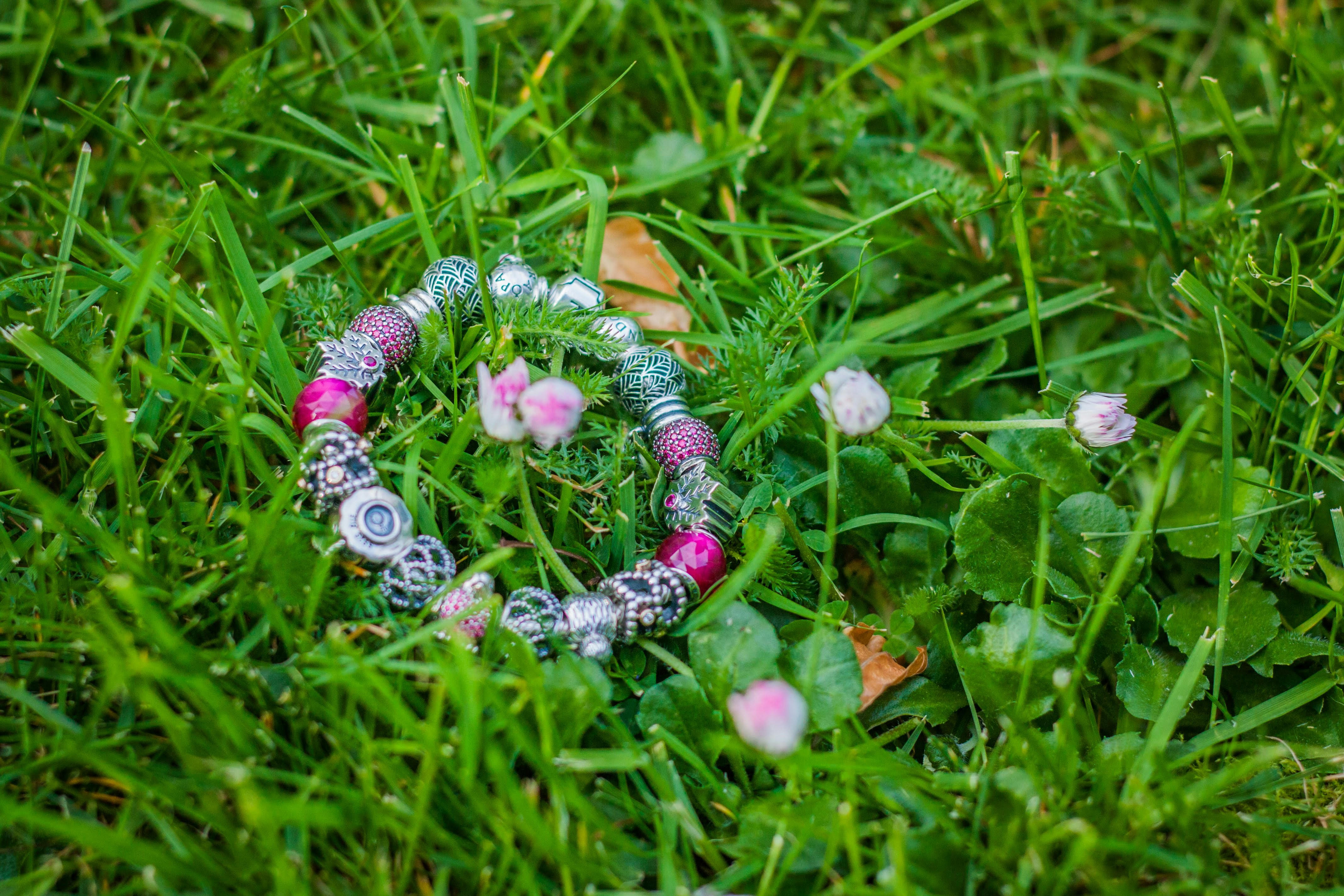 Photo by Jan Kraus with Canon EOS 450D