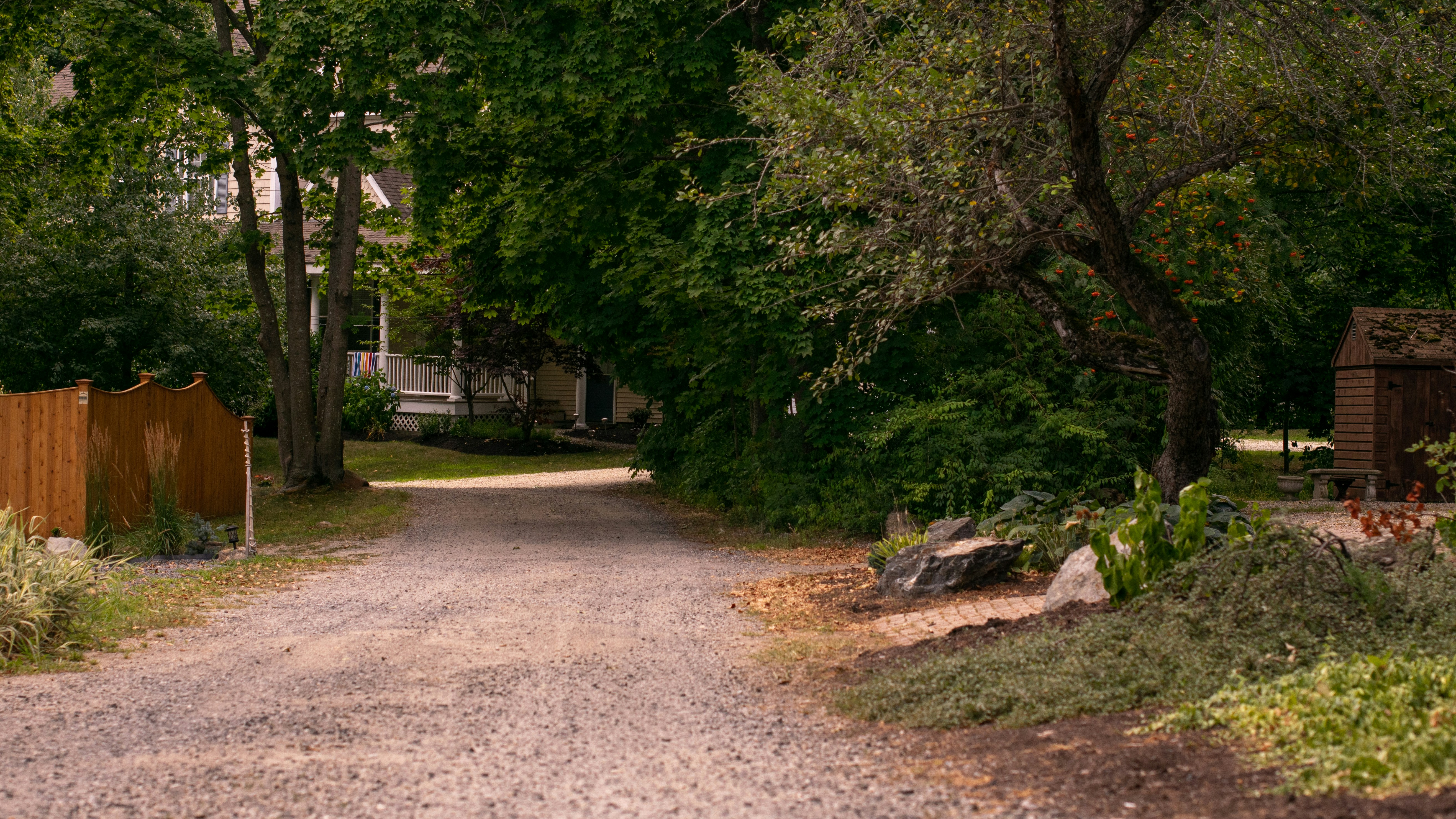 A gravel road leads to the woods.