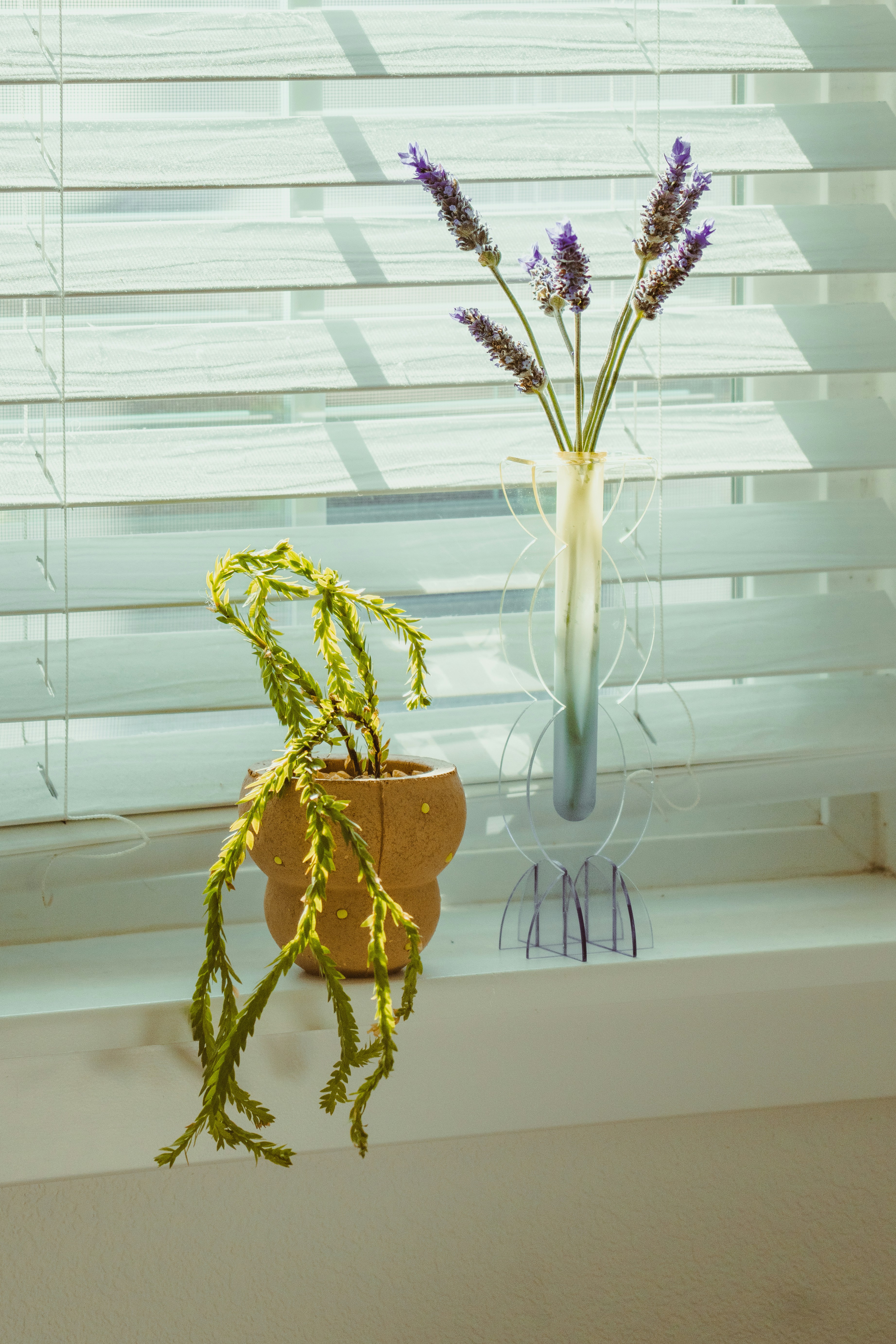 Lavender in Glass Vase Quietly Framed by Sunlit Blinds