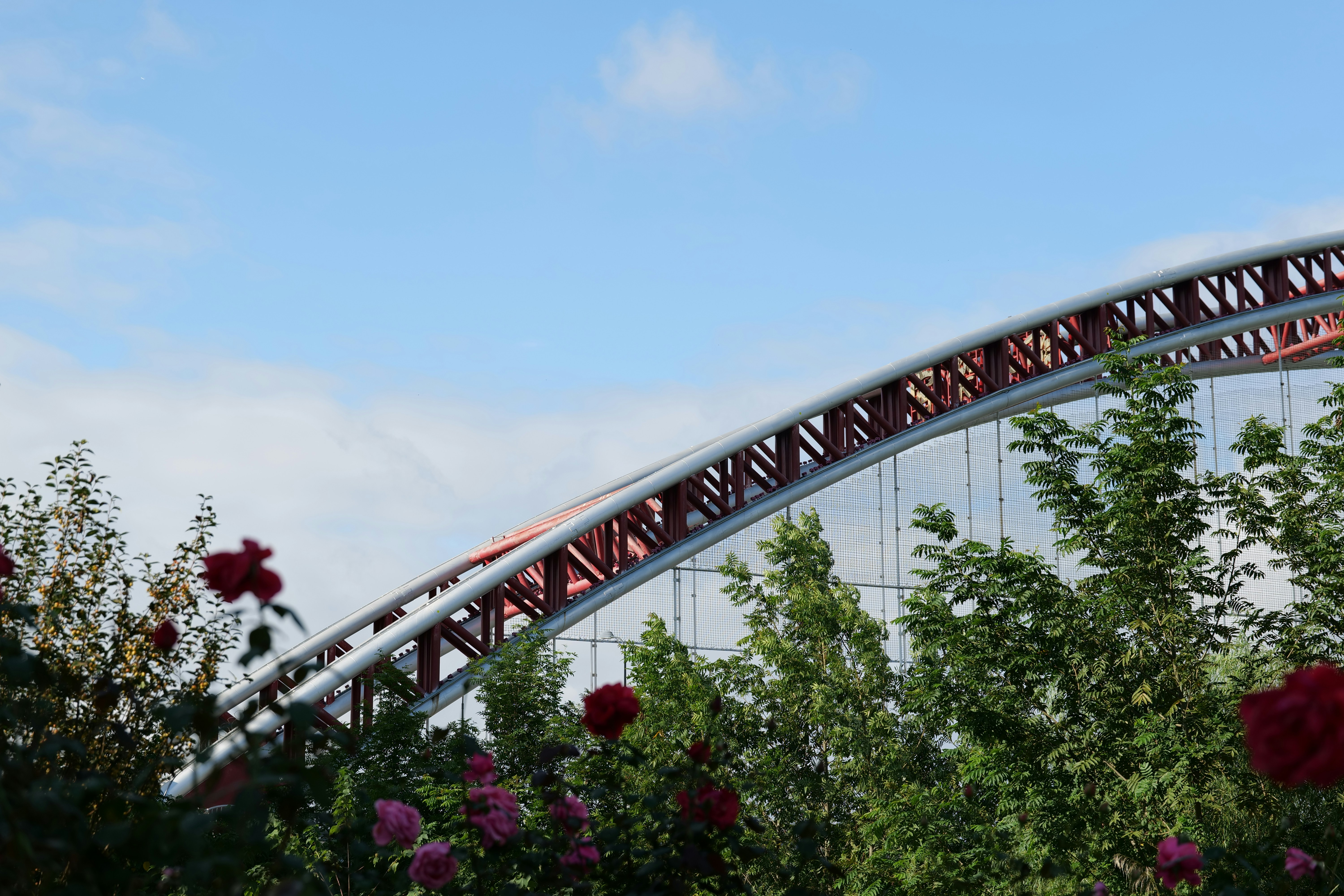 Arc of Steel Above a Garden Border