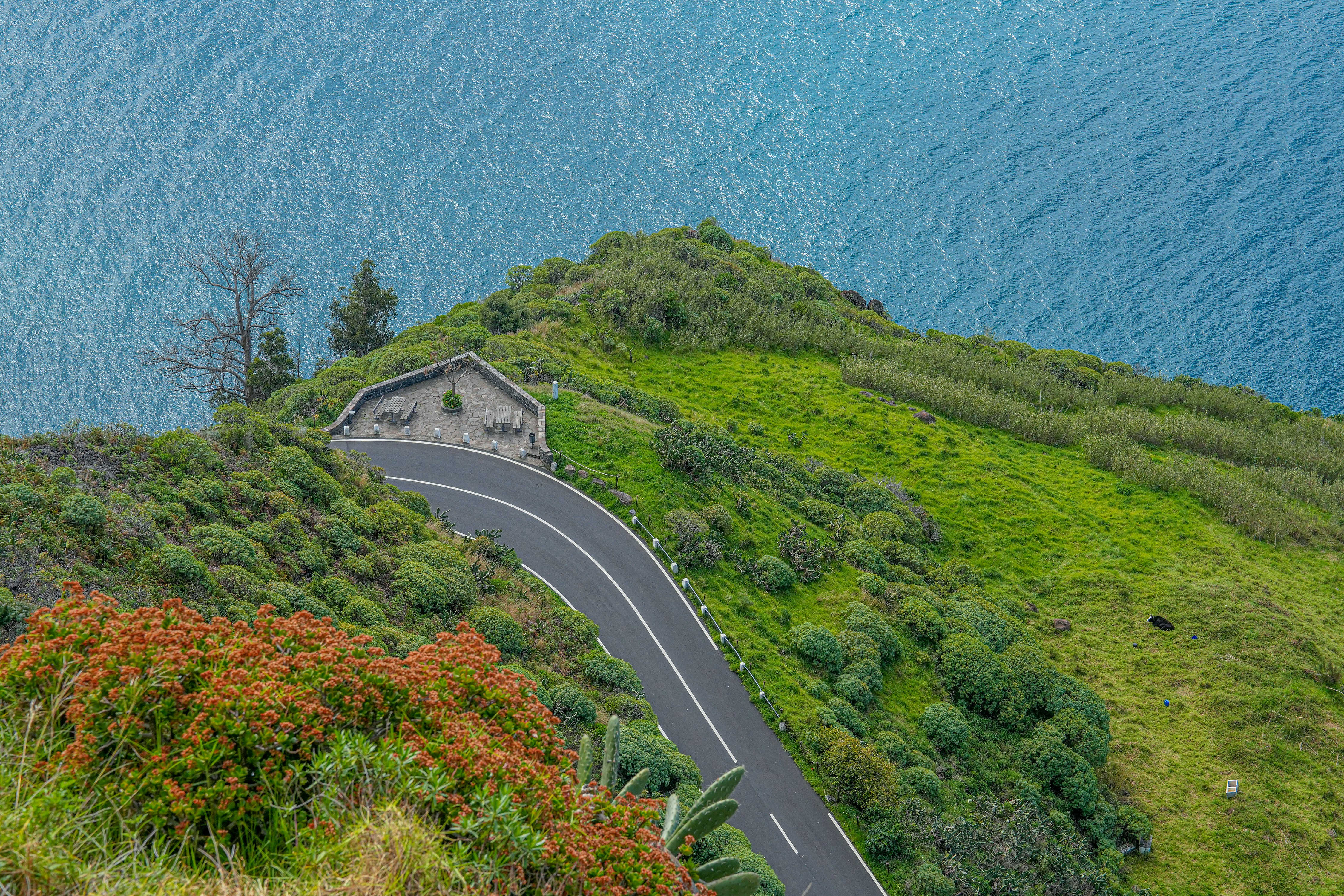 A winding coastal road carves through emerald hills toward the shoreline