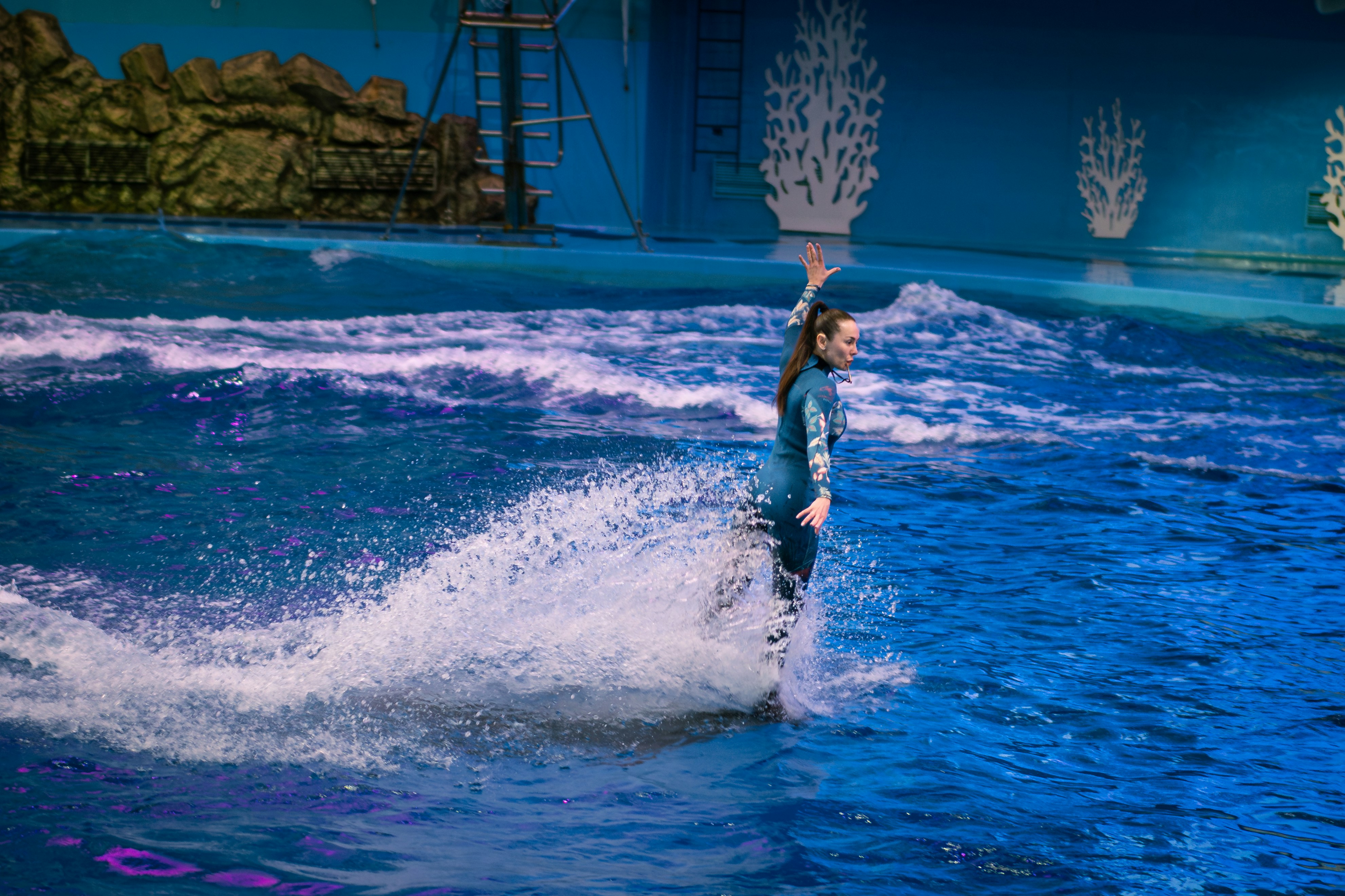 A woman performs a water stunt in a pool. photo – Free Girl Image on ...