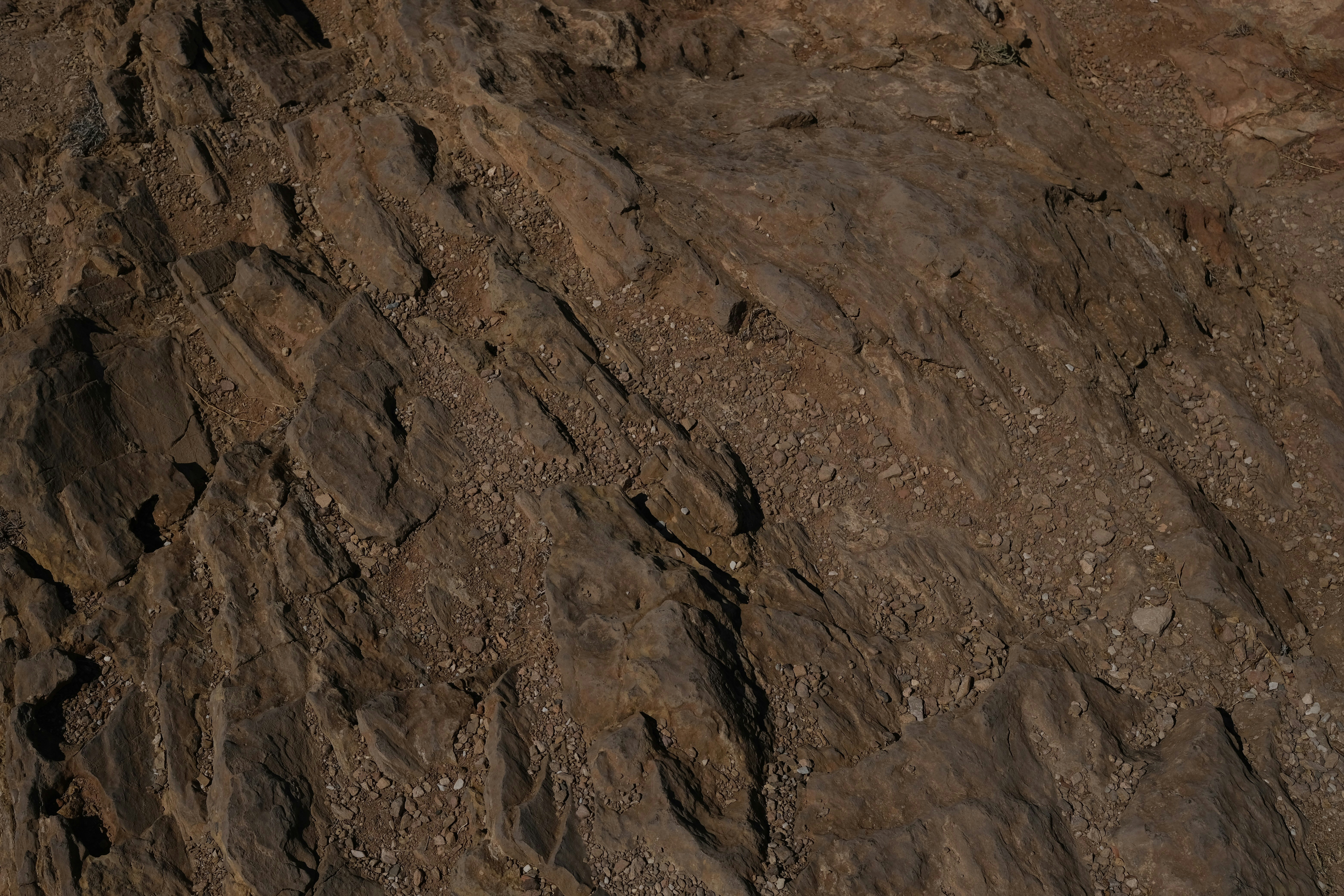 Rough, textured rock surface with layers visible. photo – Free Mars ...