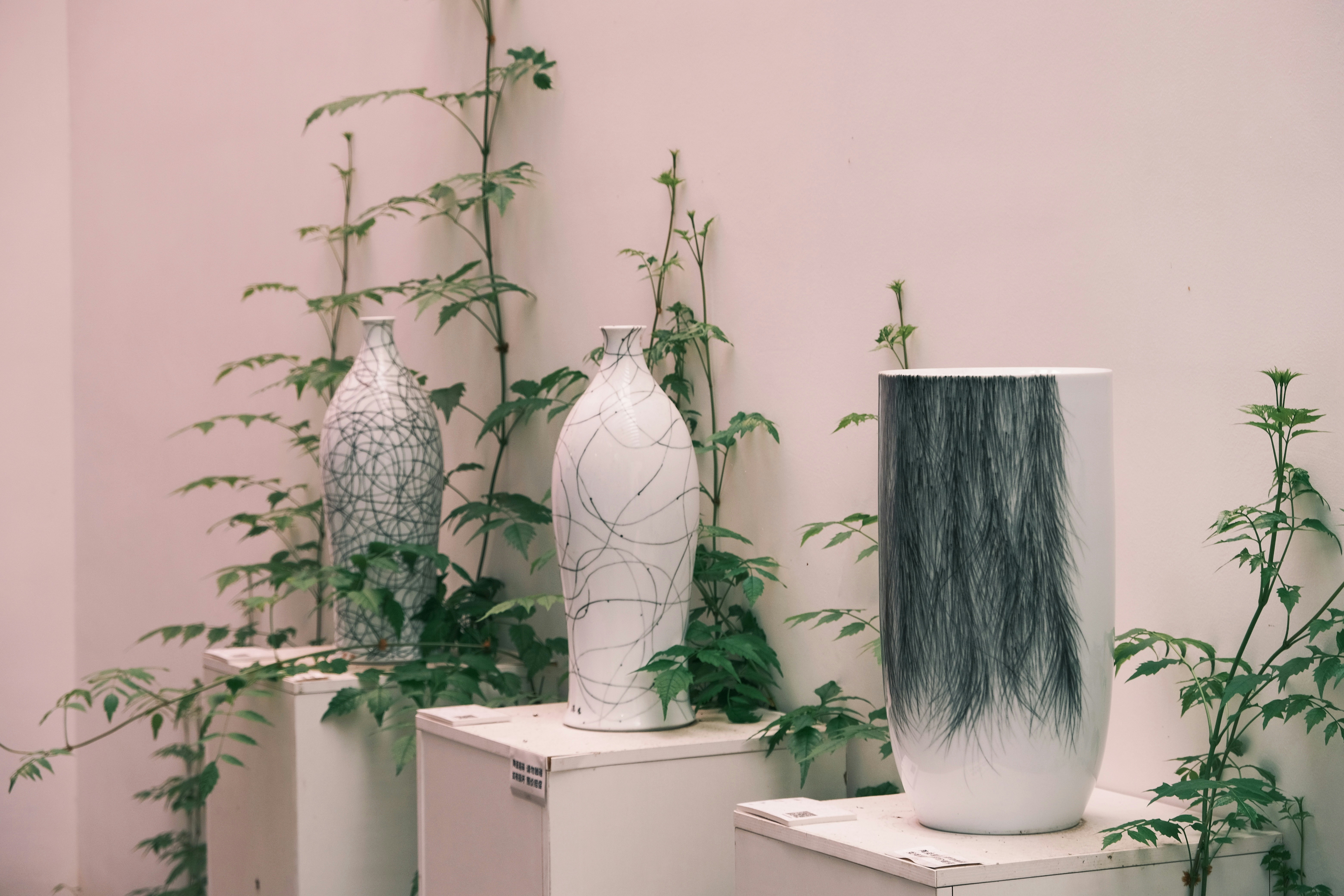 Vessels in Bloom: White Ceramics with Vein-like Patterns