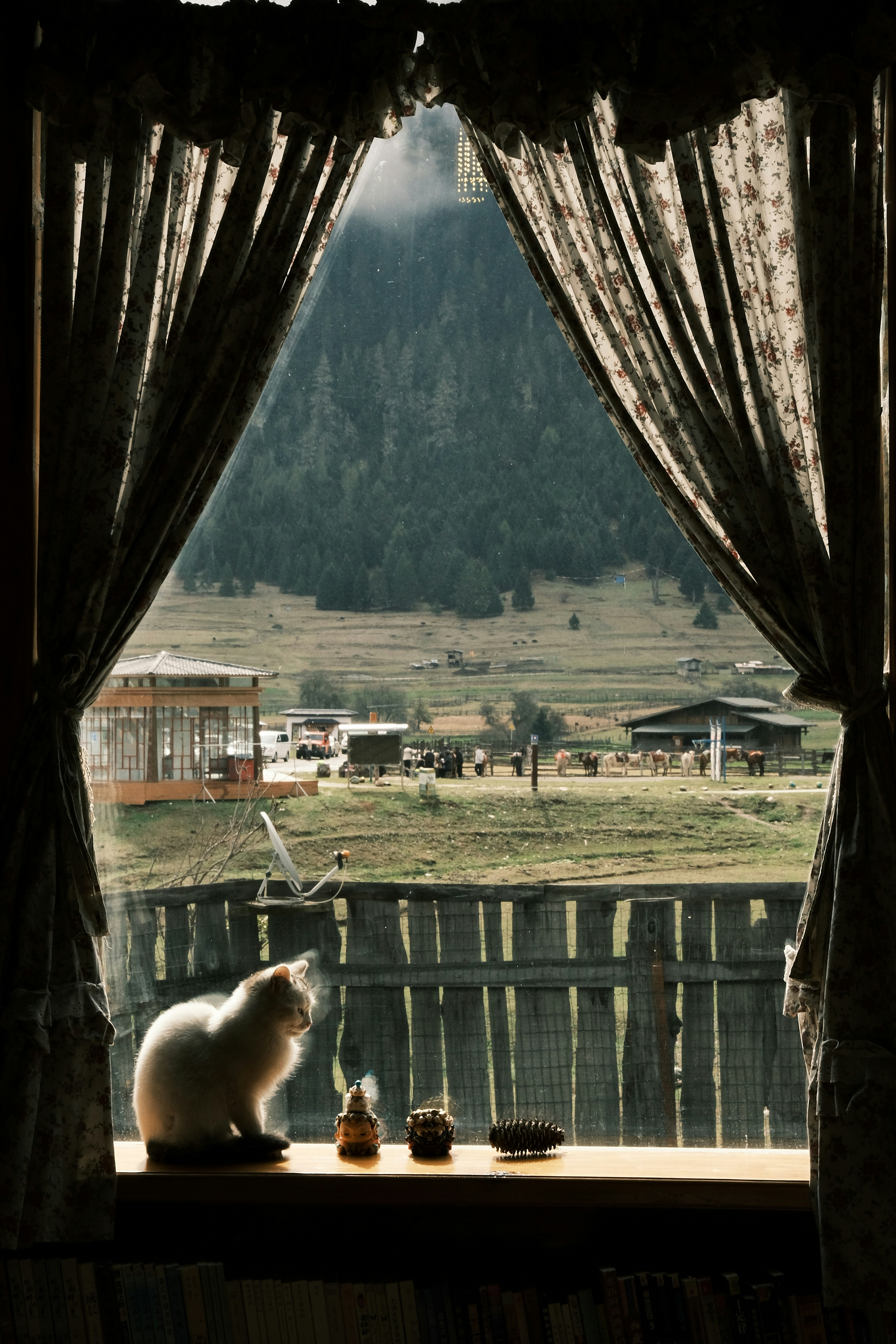 Cat at the Window Parlor Overlooking a Quiet Valley Farm