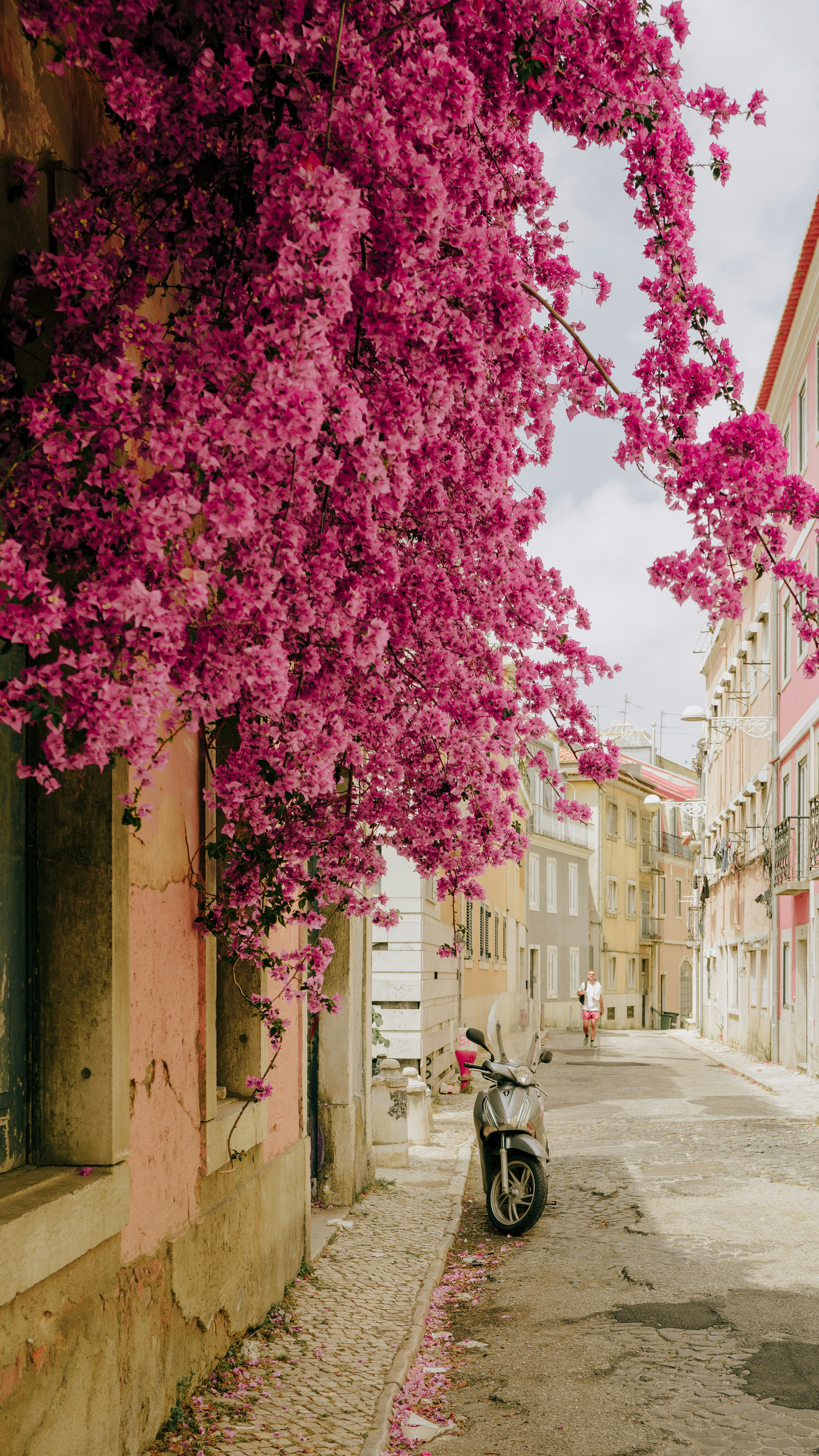 Sample photo from Leica Q3