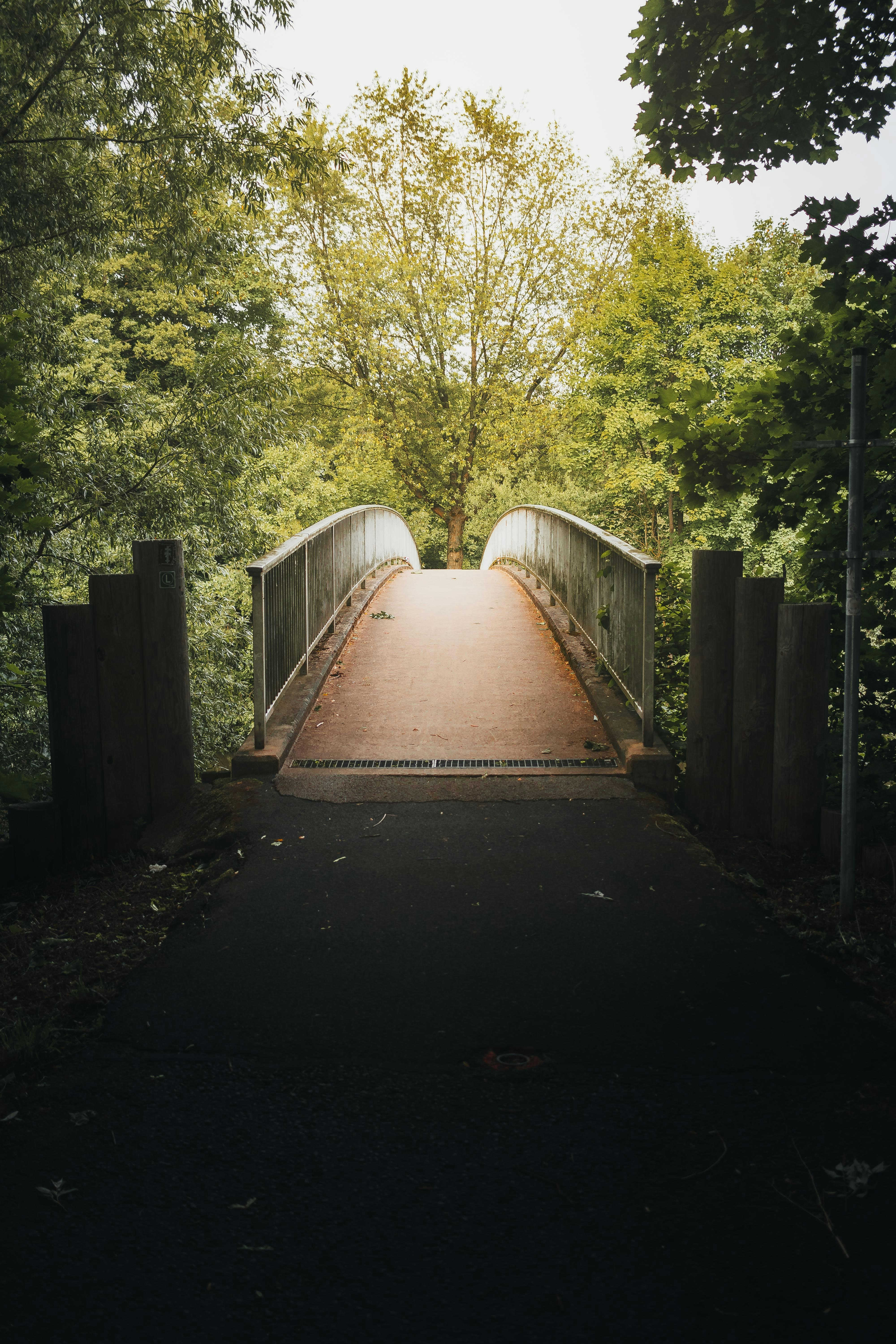 Pathway to Serenity: The Bridge Awaits
