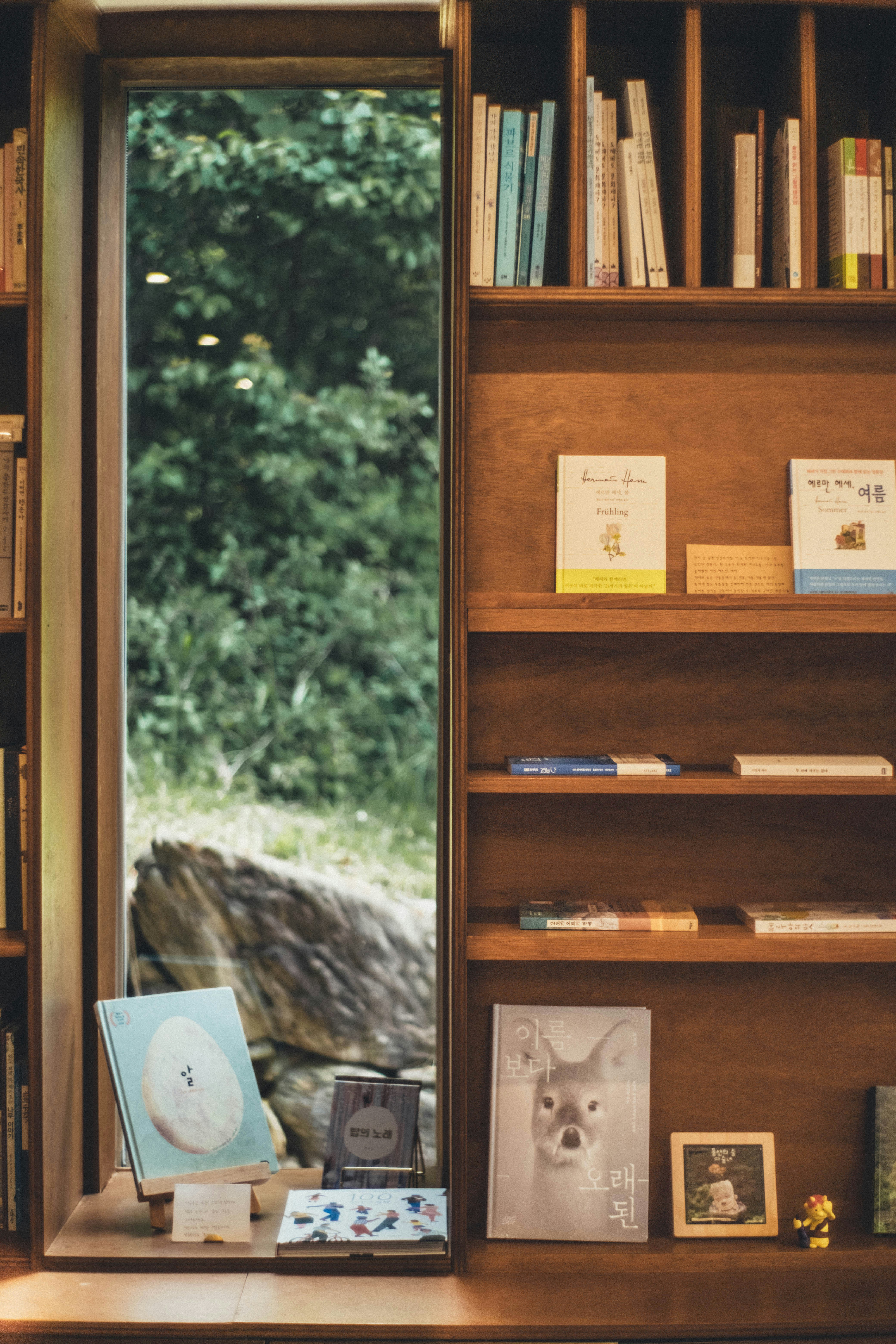 Bookshelves with books, and a beautiful view outside.