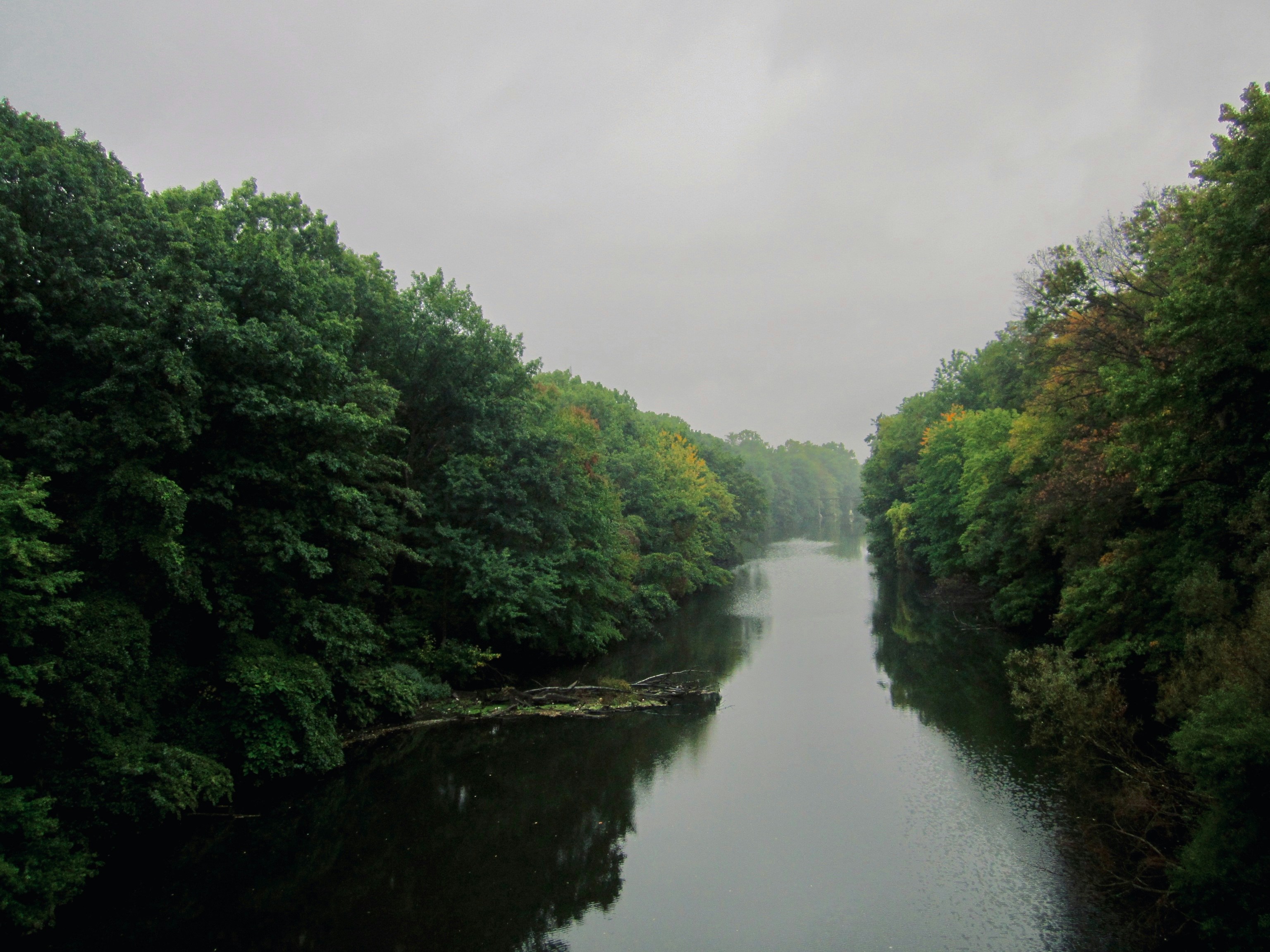 Serene river winding through lush greenery under a cloudy sky, reflecting the tranquil mood of the landscape.