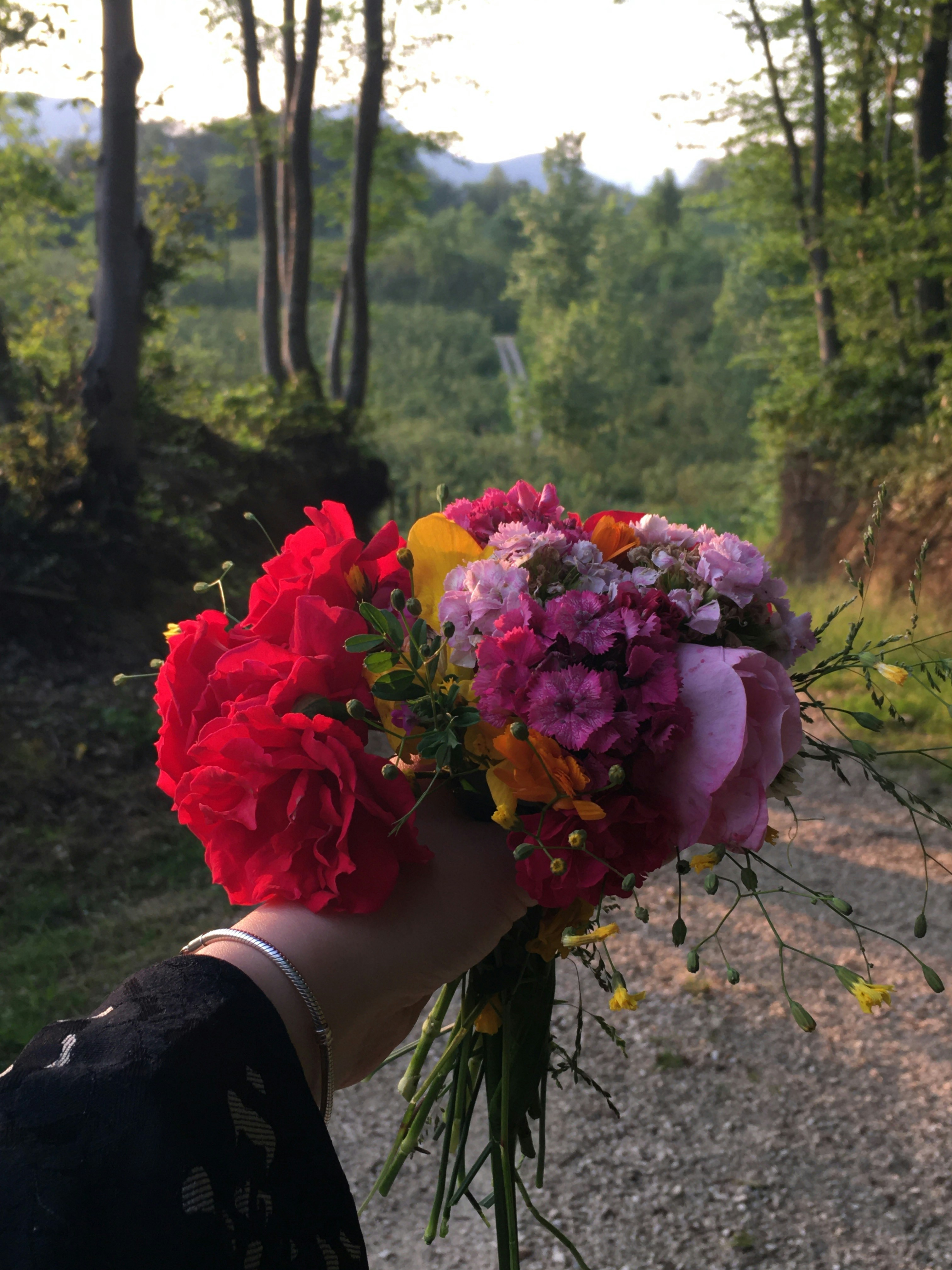 A Vibrant Bouquet Amidst Nature's Embrace