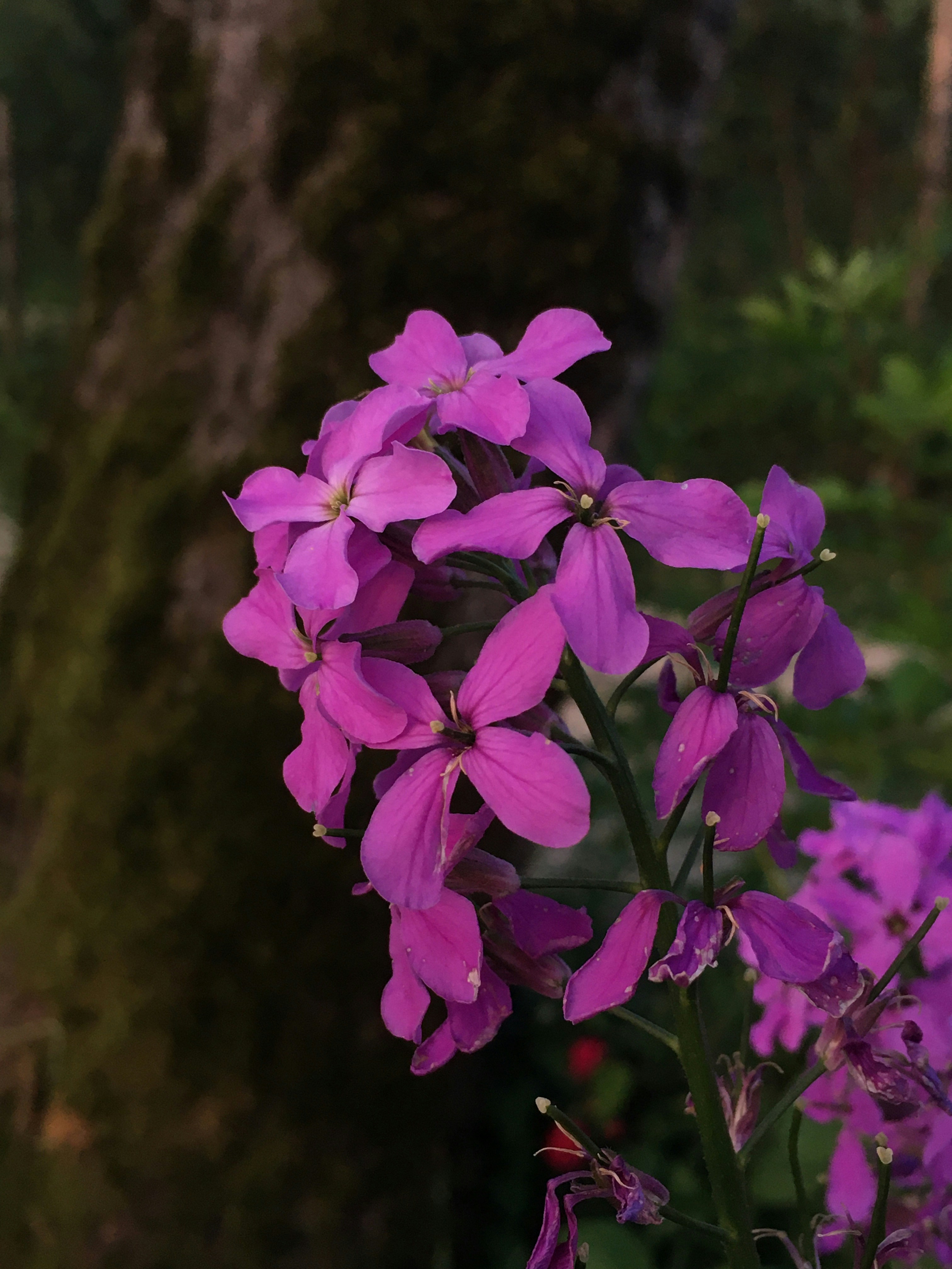 Photo by yunus emre sezgi with Apple iPhone 6s