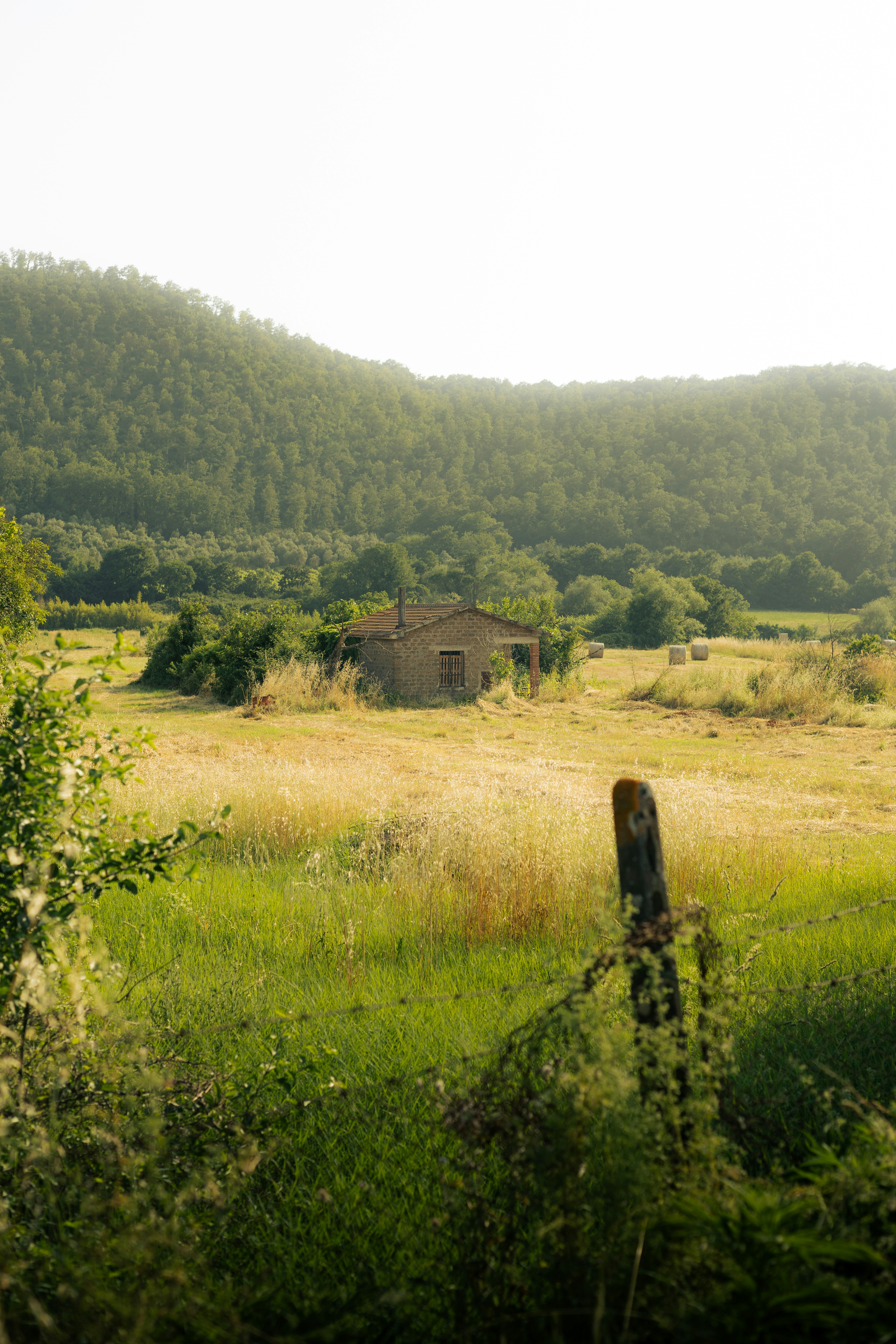 Sunlit Meadow Cabin at the Edge of a Verdant Ridge