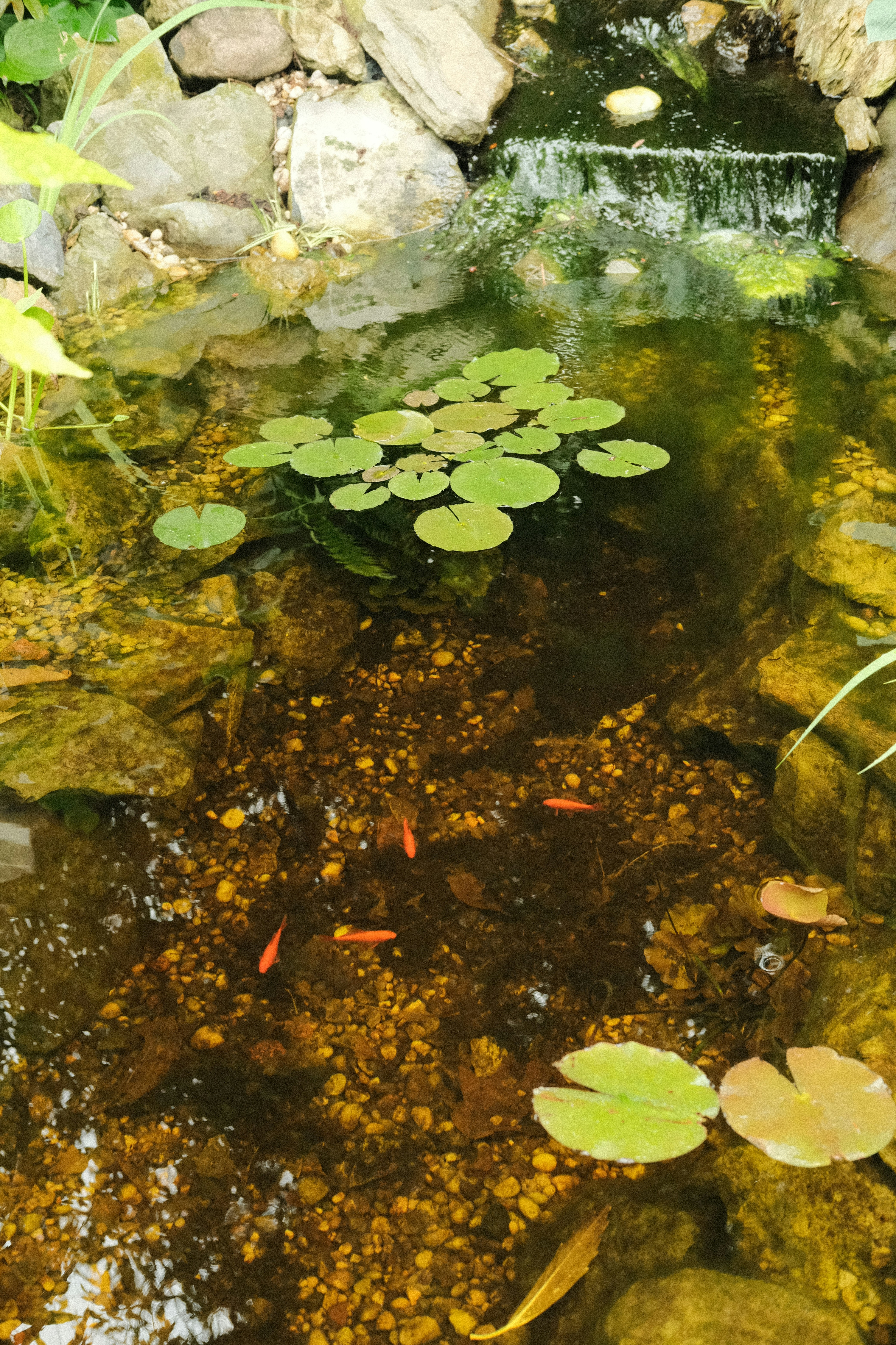 Photo by Thuraya Esaa with Fujifilm X-T30 II