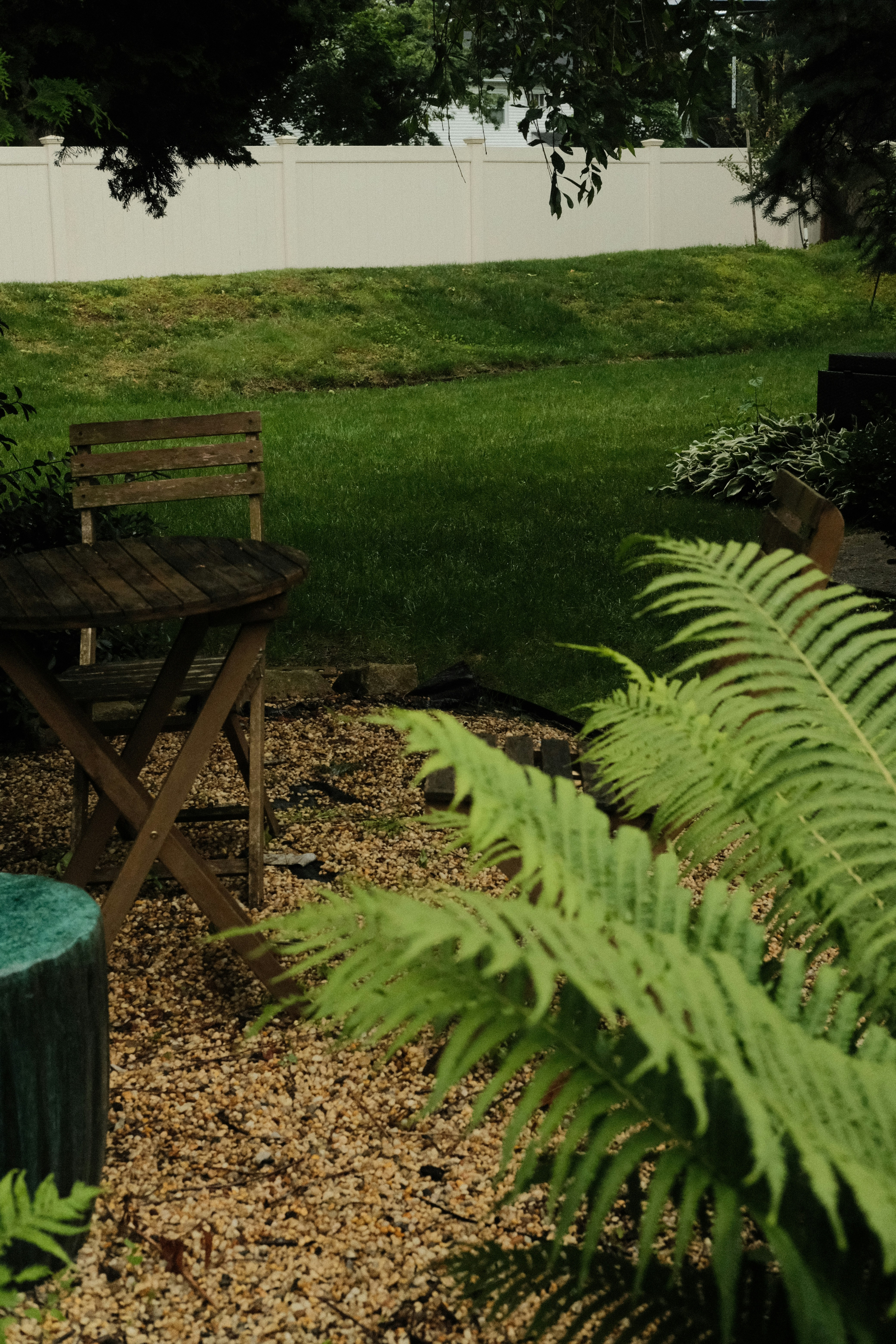 Fronds in Focus: A Quiet Patio Corner Framed by Greenery and a White Fence