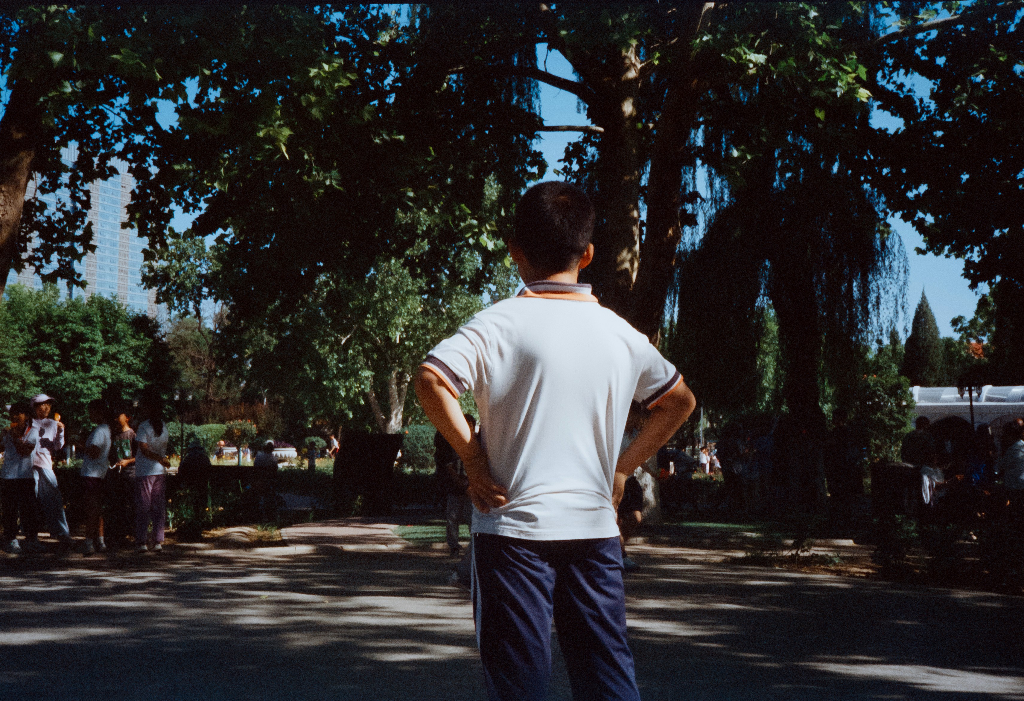 Man Facing Backwards Pictures | Download Free Images on Unsplash