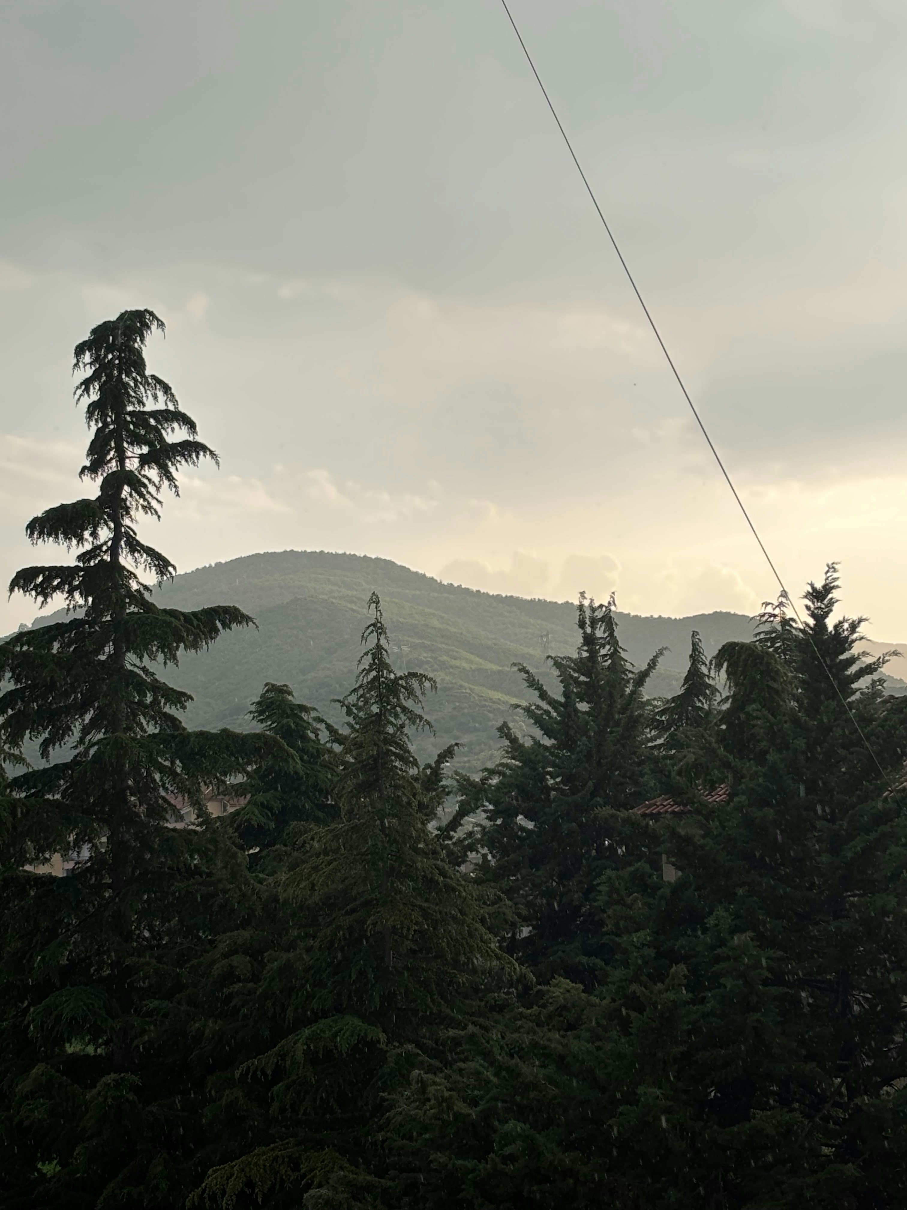 Whispers of Nature: A Mountain's Embrace