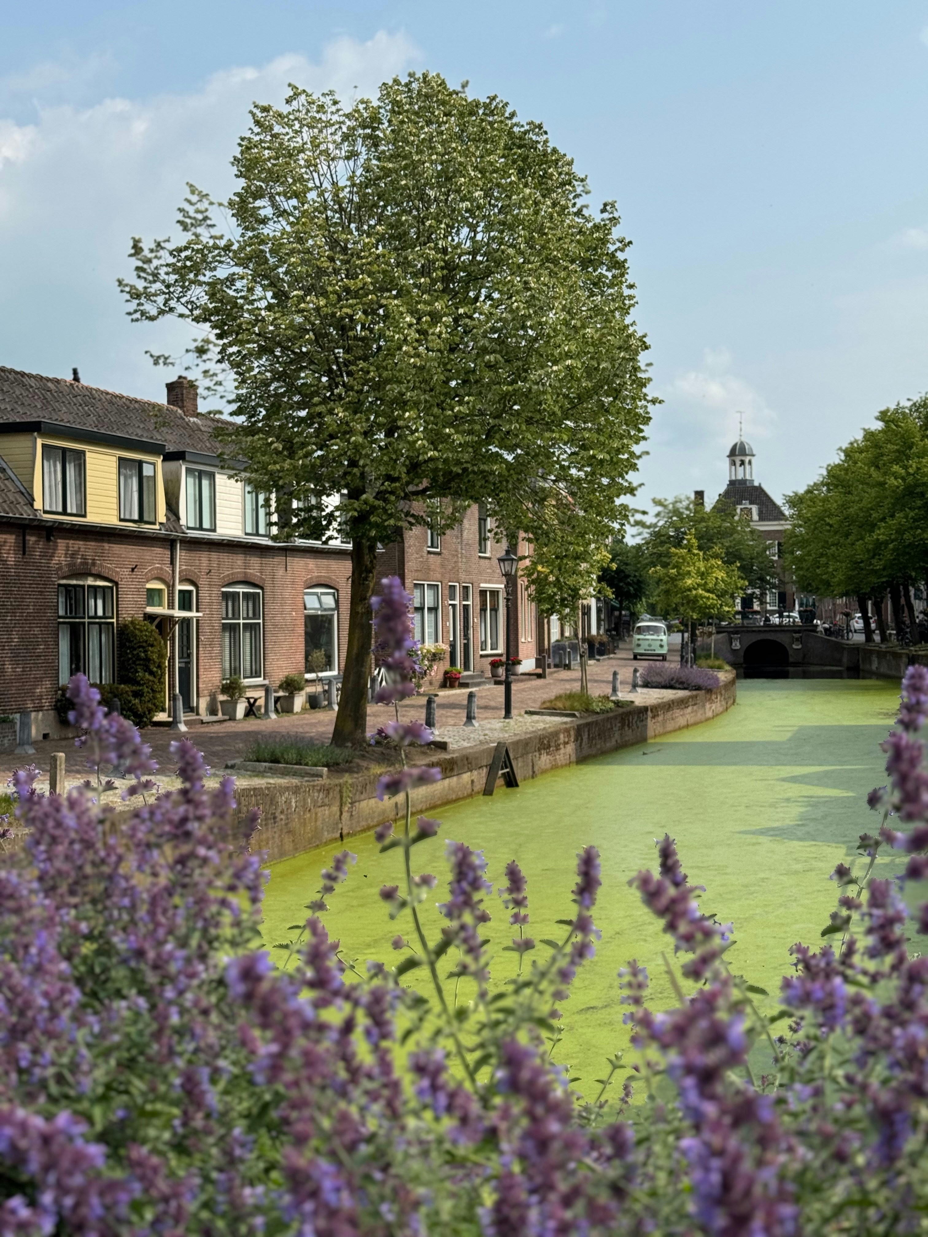 Een schilderachtig tafereel aan de Nieuwpoortse grachten, waar paarse lavendelbloemen de voorgrond sieren. Langs de rustige waterweg staan karakteristieke Vlaamse huizen met rode bakstenen gevels. Een imposante boom domineert het plein, terwijl op de achtergrond de kerktoren majesteitelijk uittorent. De groene waterkleur en de historische architectuur creëren samen een typisch Belgisch plaatje vol charme en rust. | A charming canal scene with flowers and buildings.