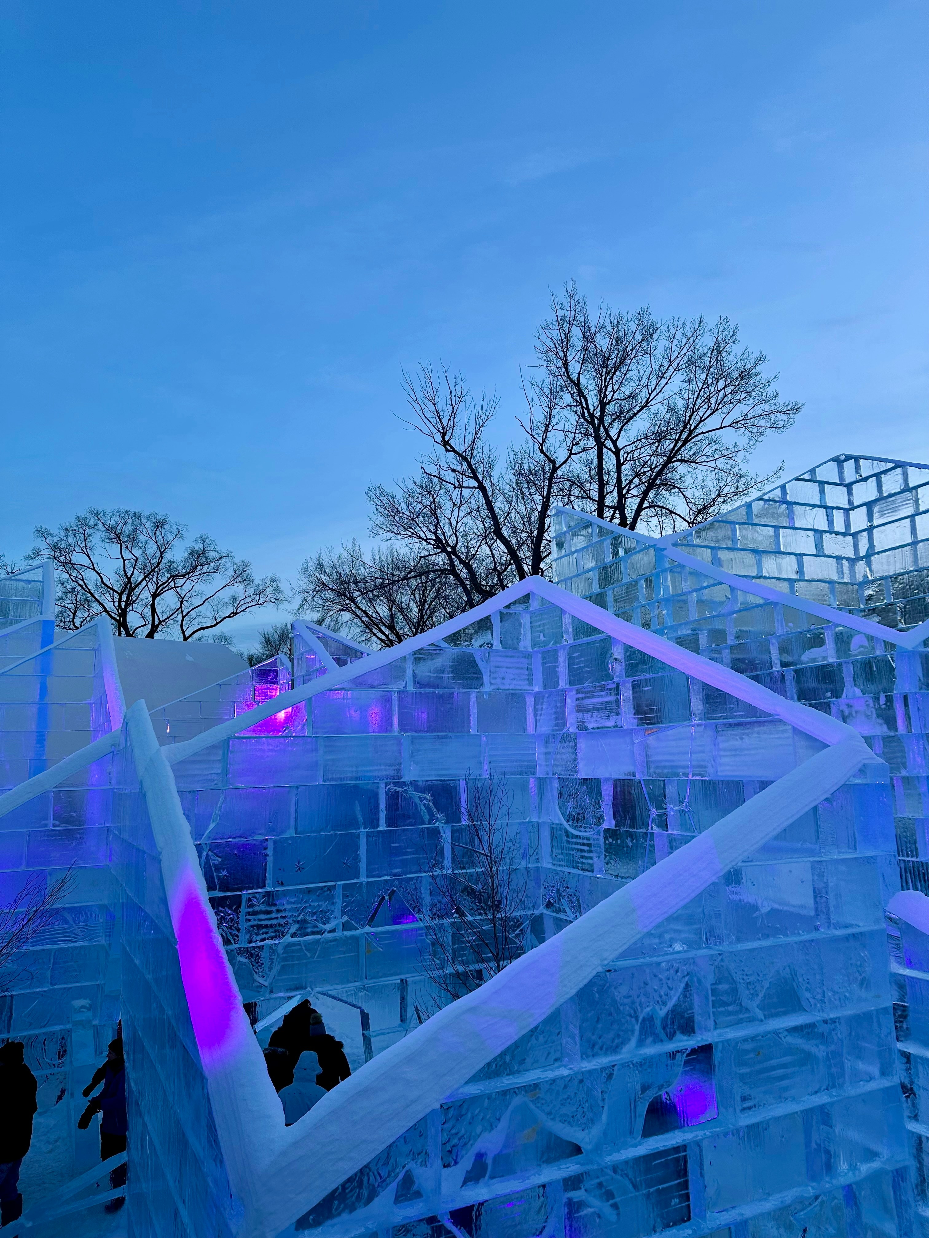 Frozen Architecture: A Glimpse into Ice Artistry