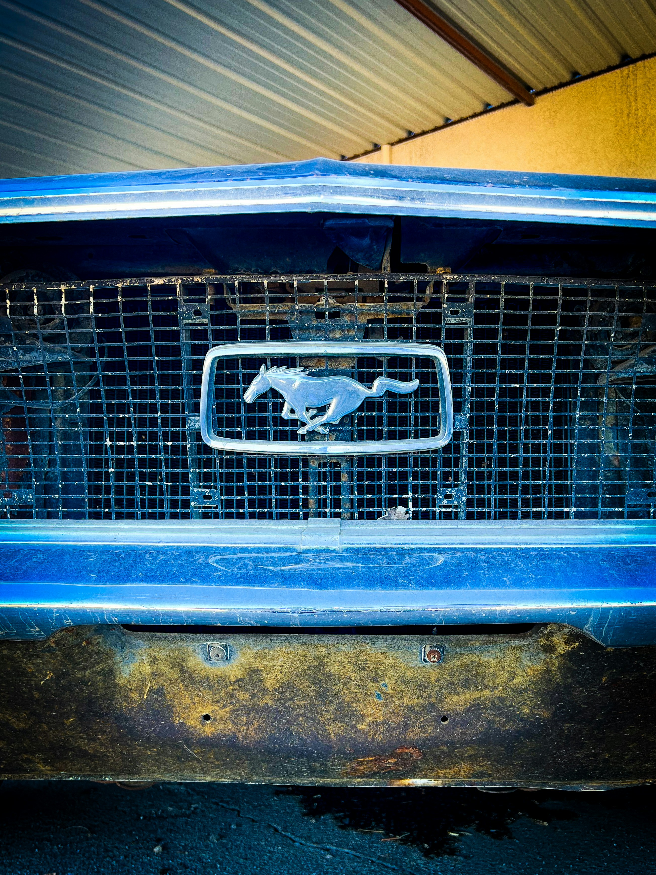 Blue Mustang Grille Under a Weathered Canopy: Rust, Shine, and the Pony Emblem