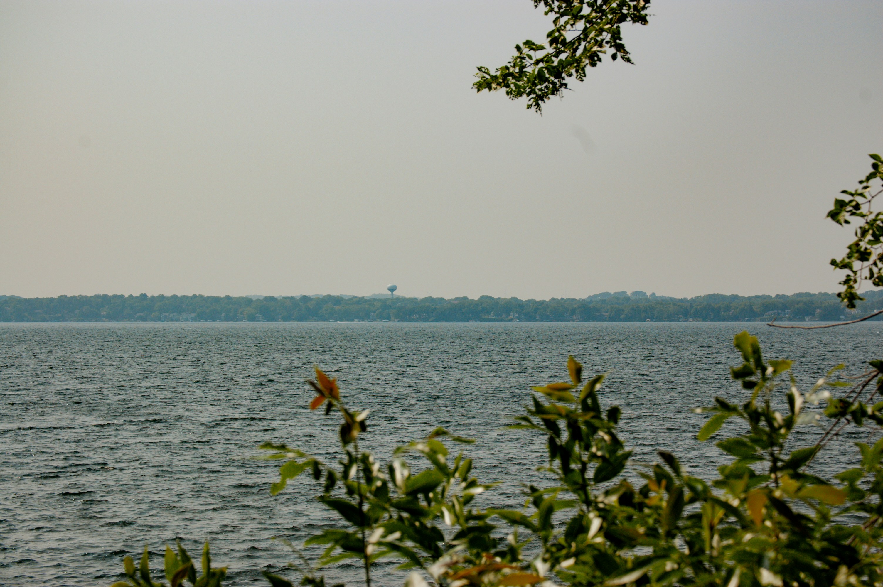 Lush green foliage frames a serene lake view, with a distant water tower barely visible on the horizon. The calm waters reflect the muted colors of a hazy sky.