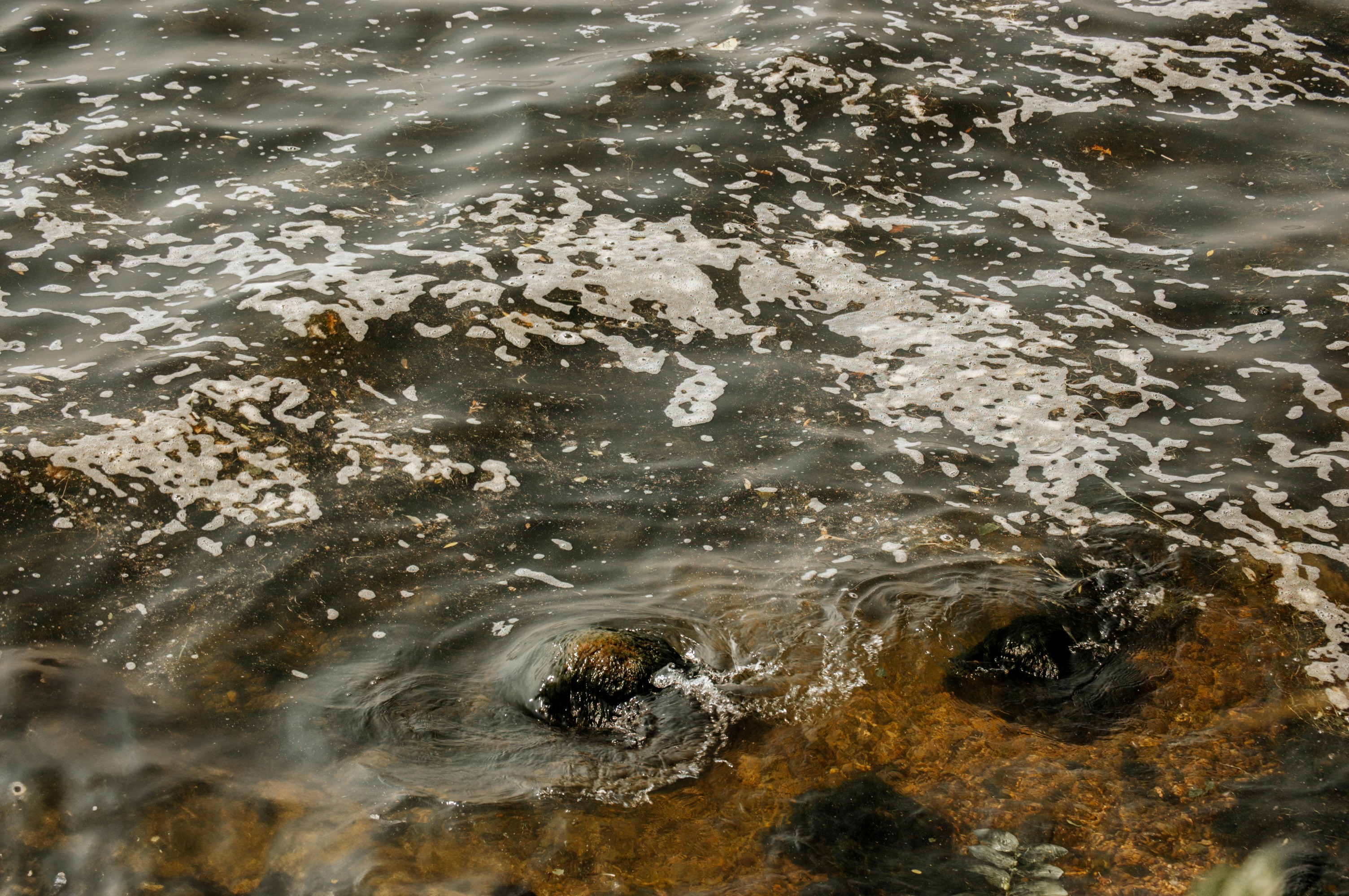 Bubbling water creates a dynamic interplay with rocks beneath the surface, showcasing the rhythm of the tide. Natural textures and colors blend seamlessly.