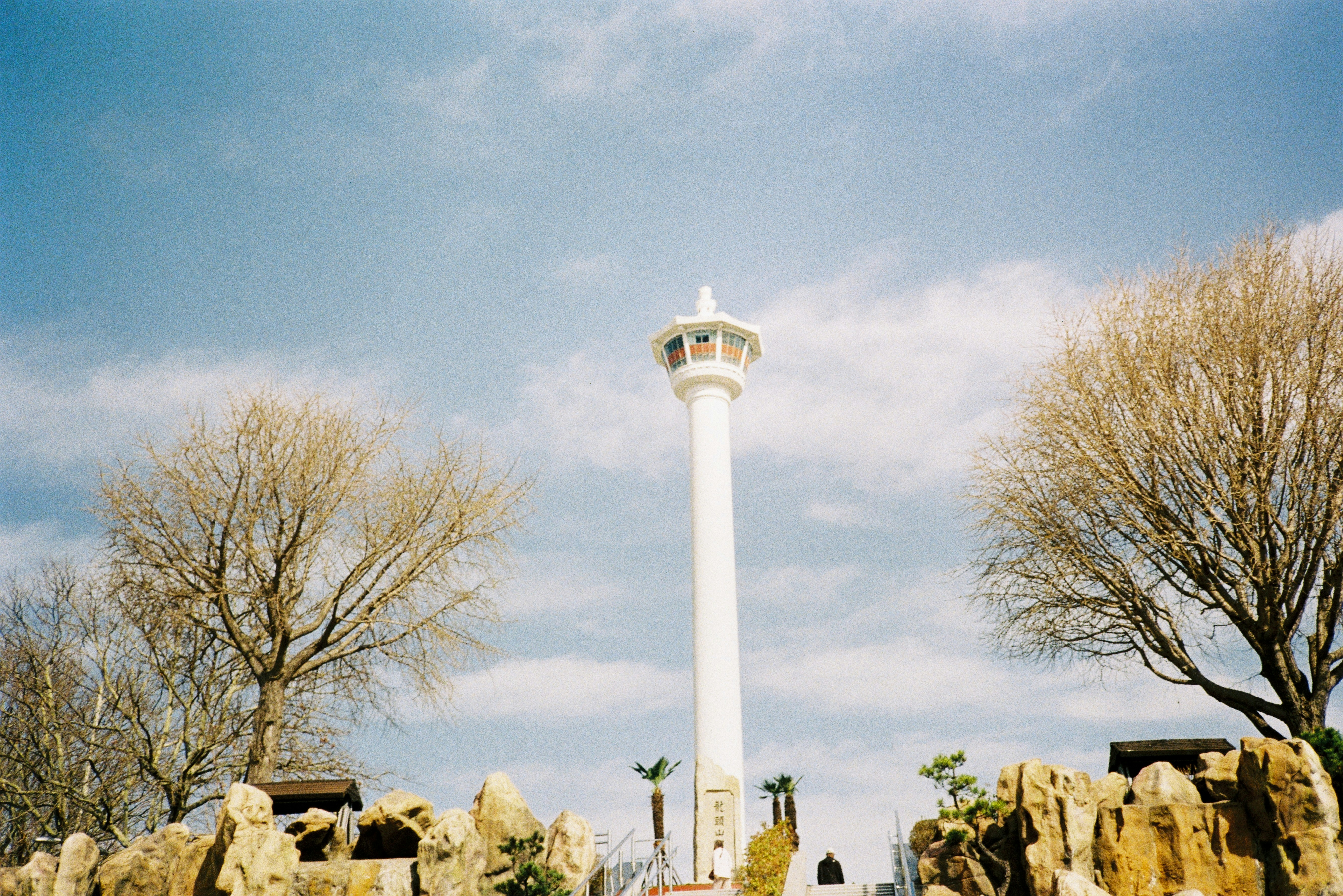 The Watchtower Amidst Nature's Embrace