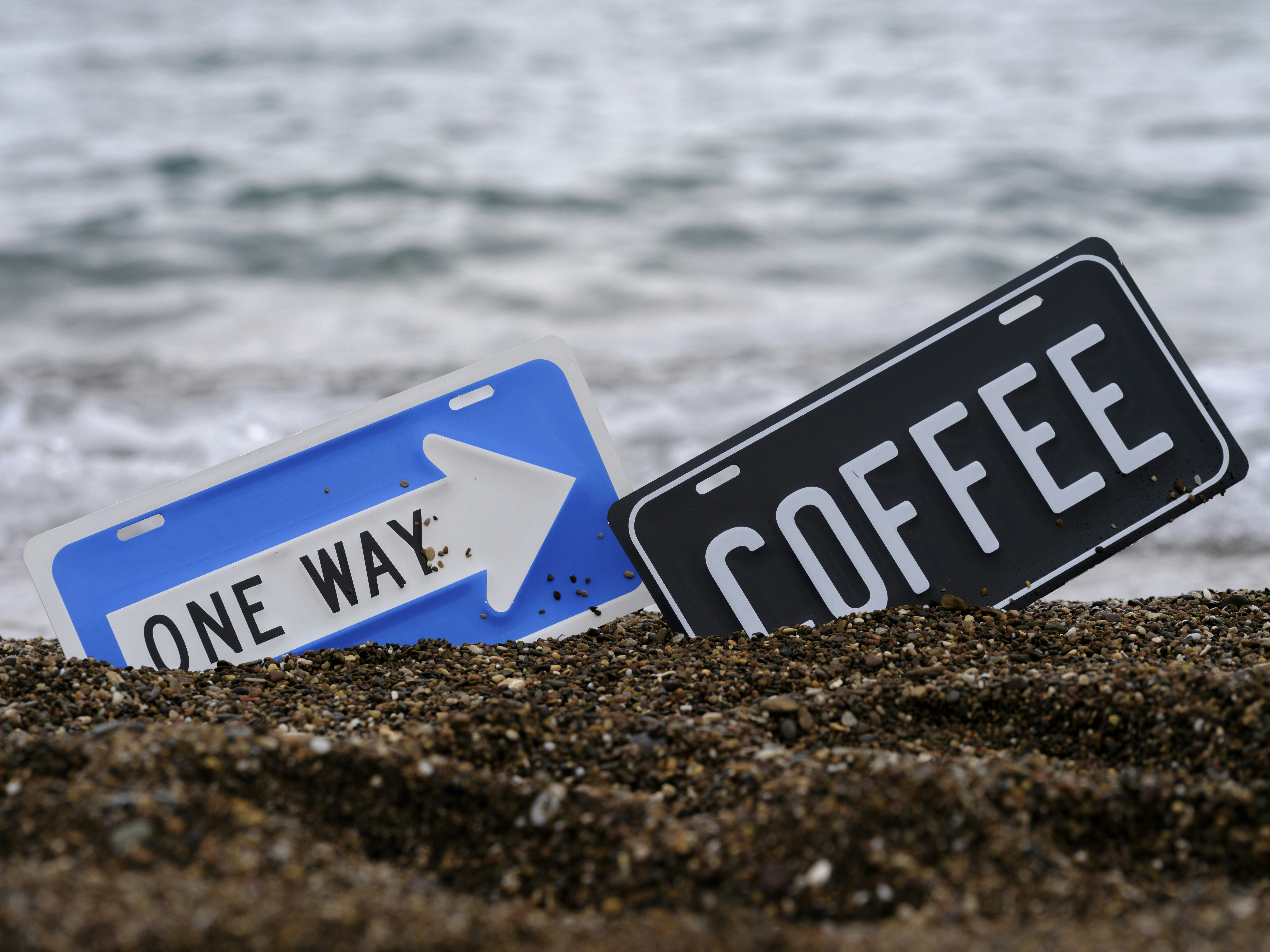 A Serendipitous Encounter: Signs of Life on the Shore