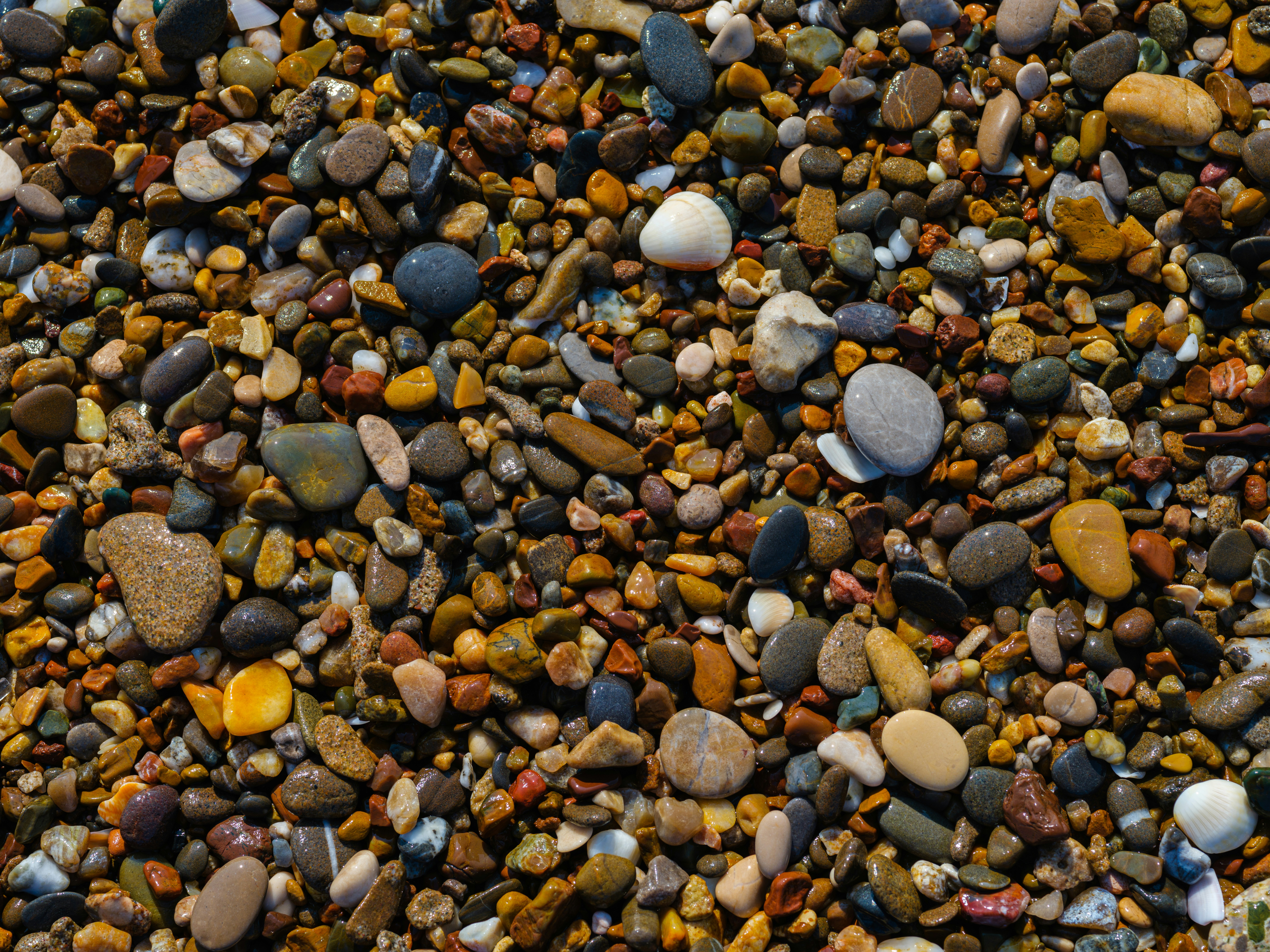 Colorful assortment of pebbles scattered across a sandy beach, showcasing a variety of textures and hues. Each stone tells a story of nature's artistry.