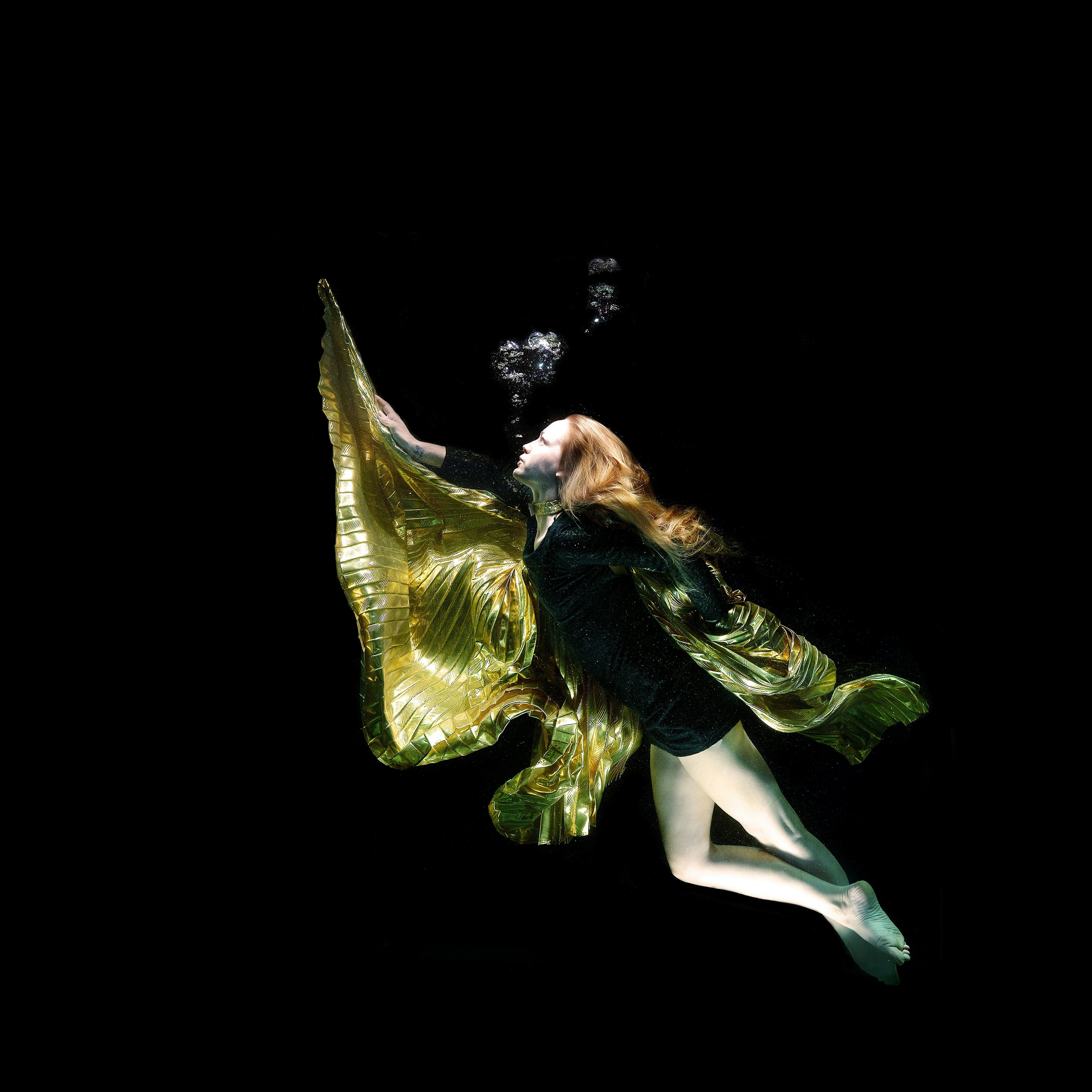 Diving into Velvet Night: Golden Flow in Midair