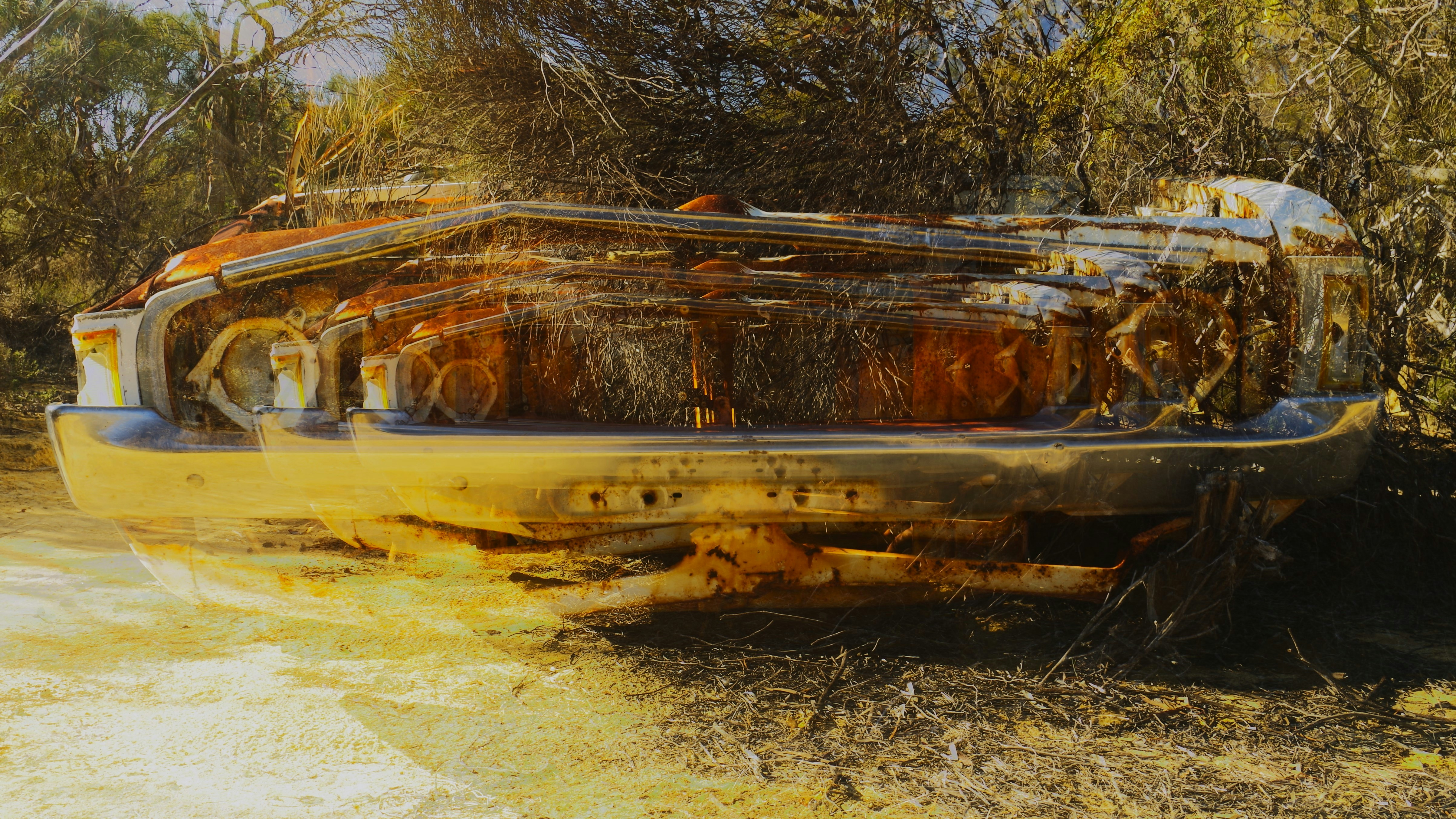 Abandoned vintage car partially obscured by foliage, showcasing the effects of time and nature's reclamation.