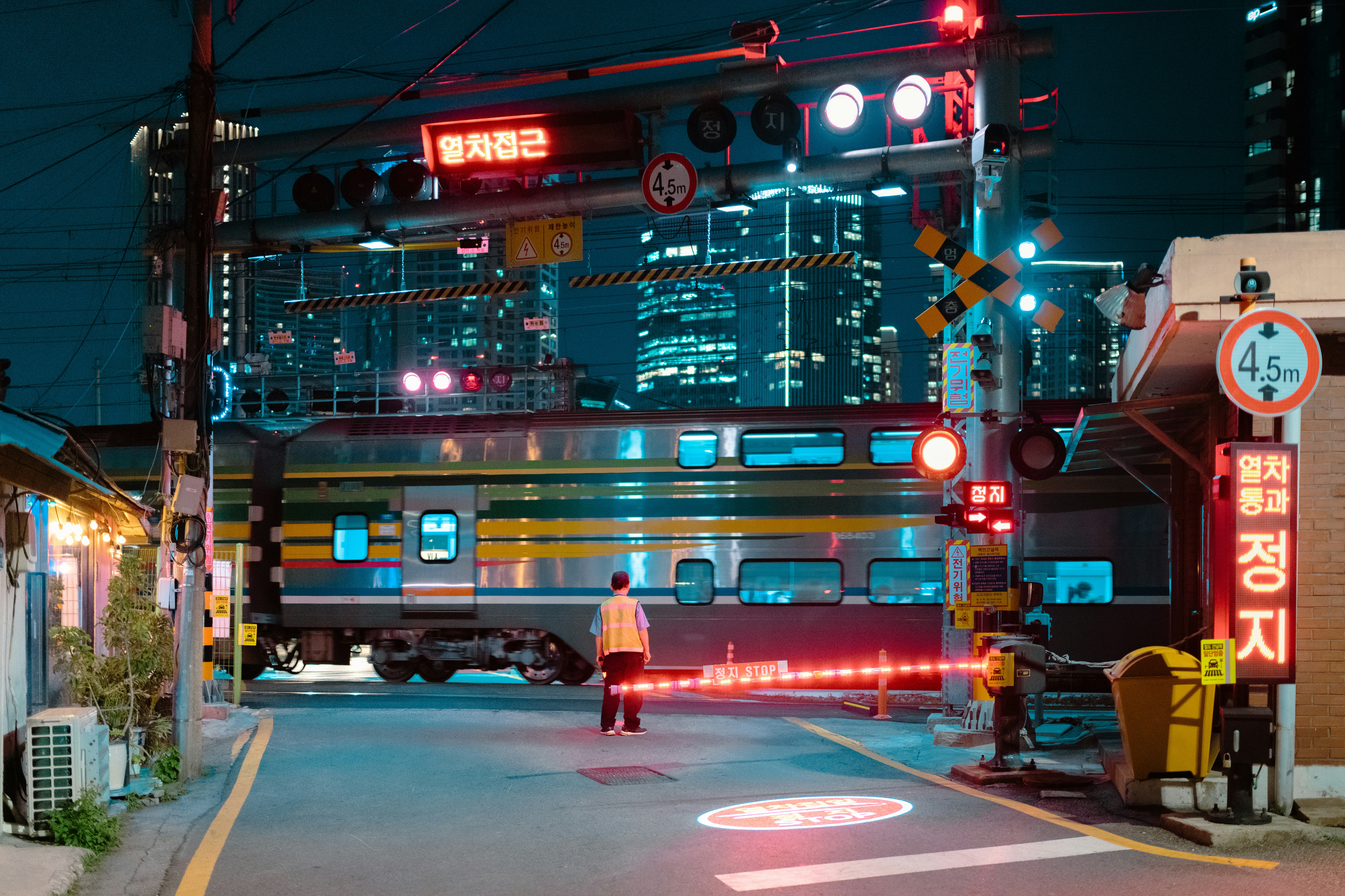 Photo by JIWON KANG with Nikon D850