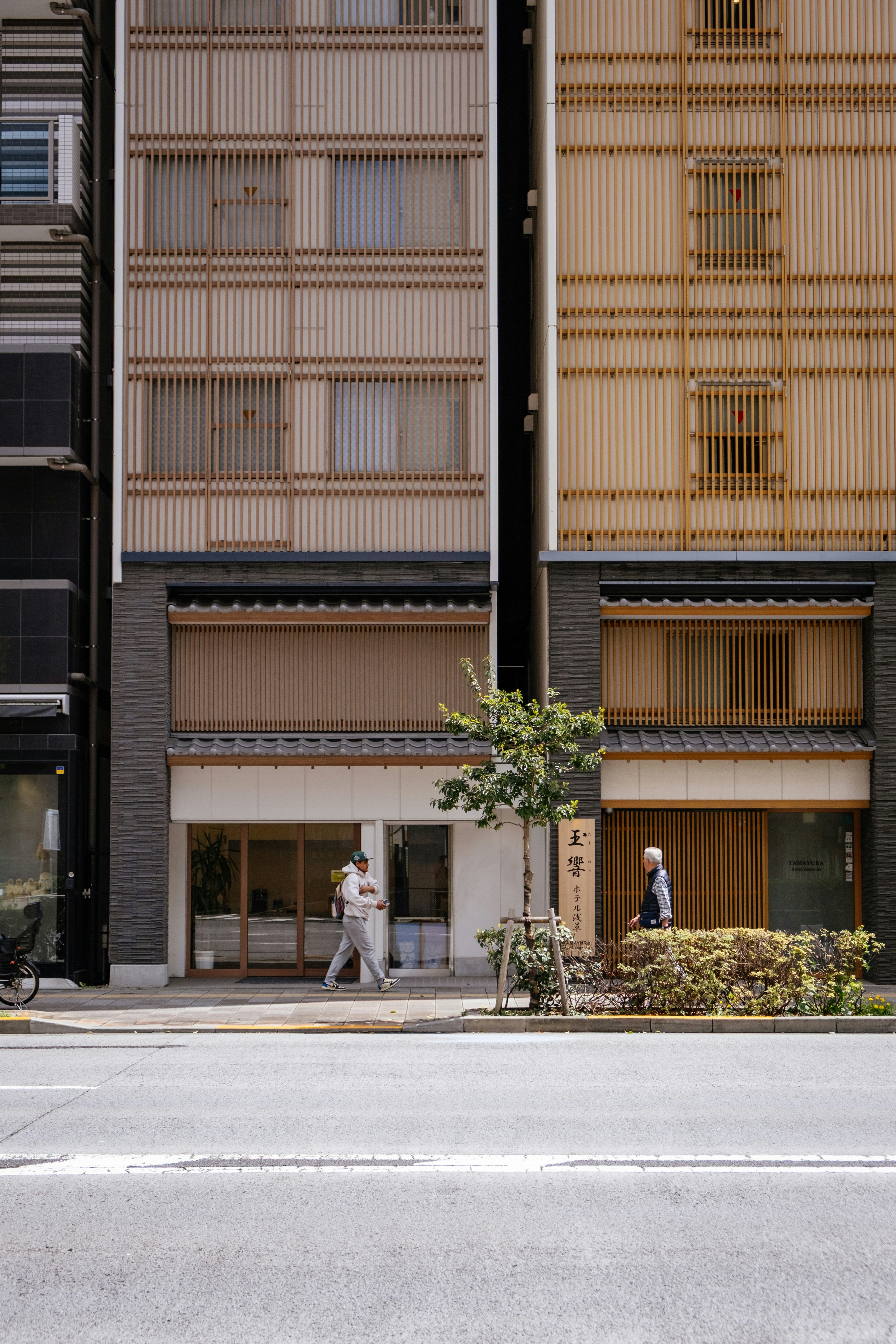Timber Slats and Street Quiet: Pedestrians Framing a Central Tree