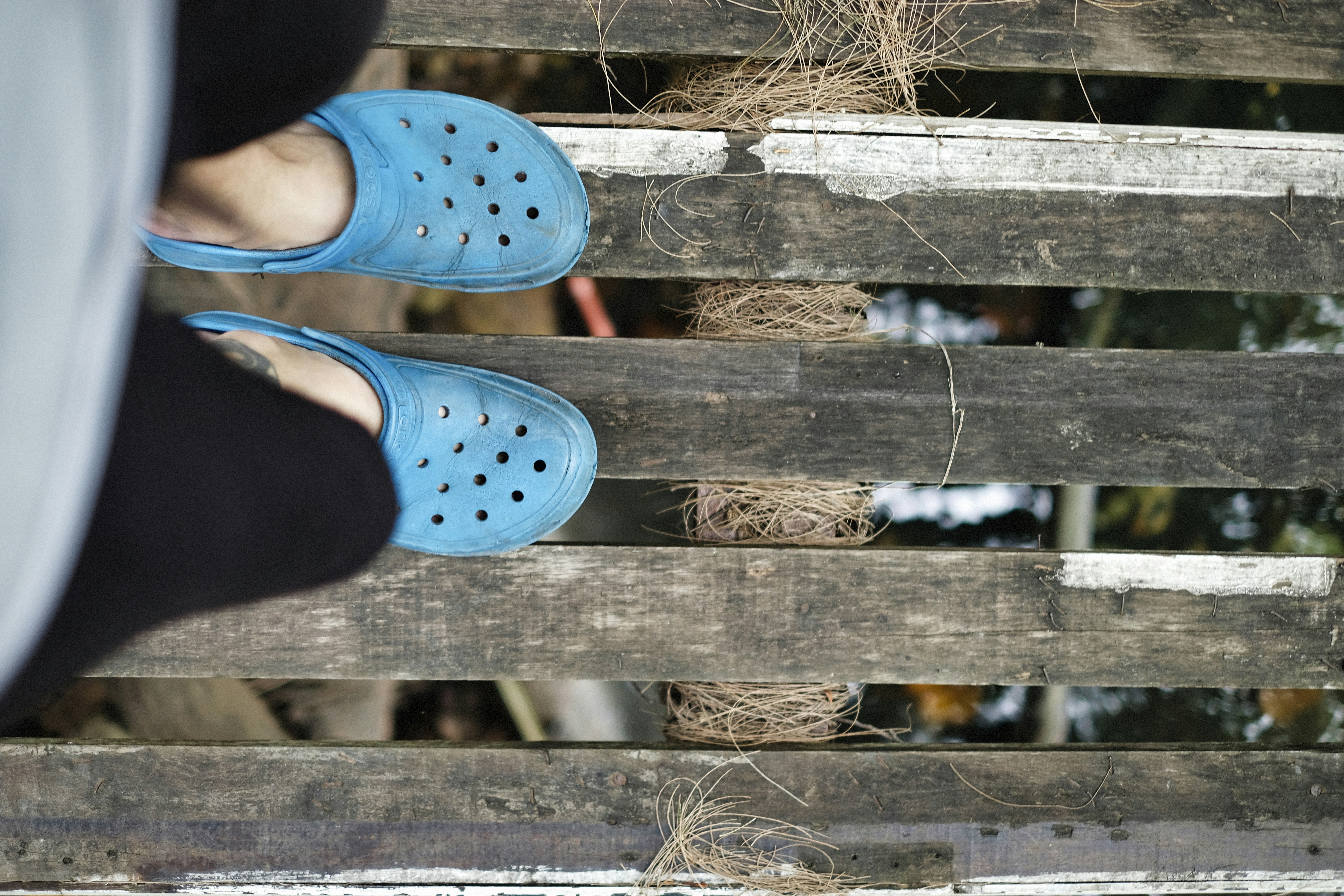 Blue crocs resting on wooden planks above a reflective surface, capturing a moment of tranquility and connection with nature.
