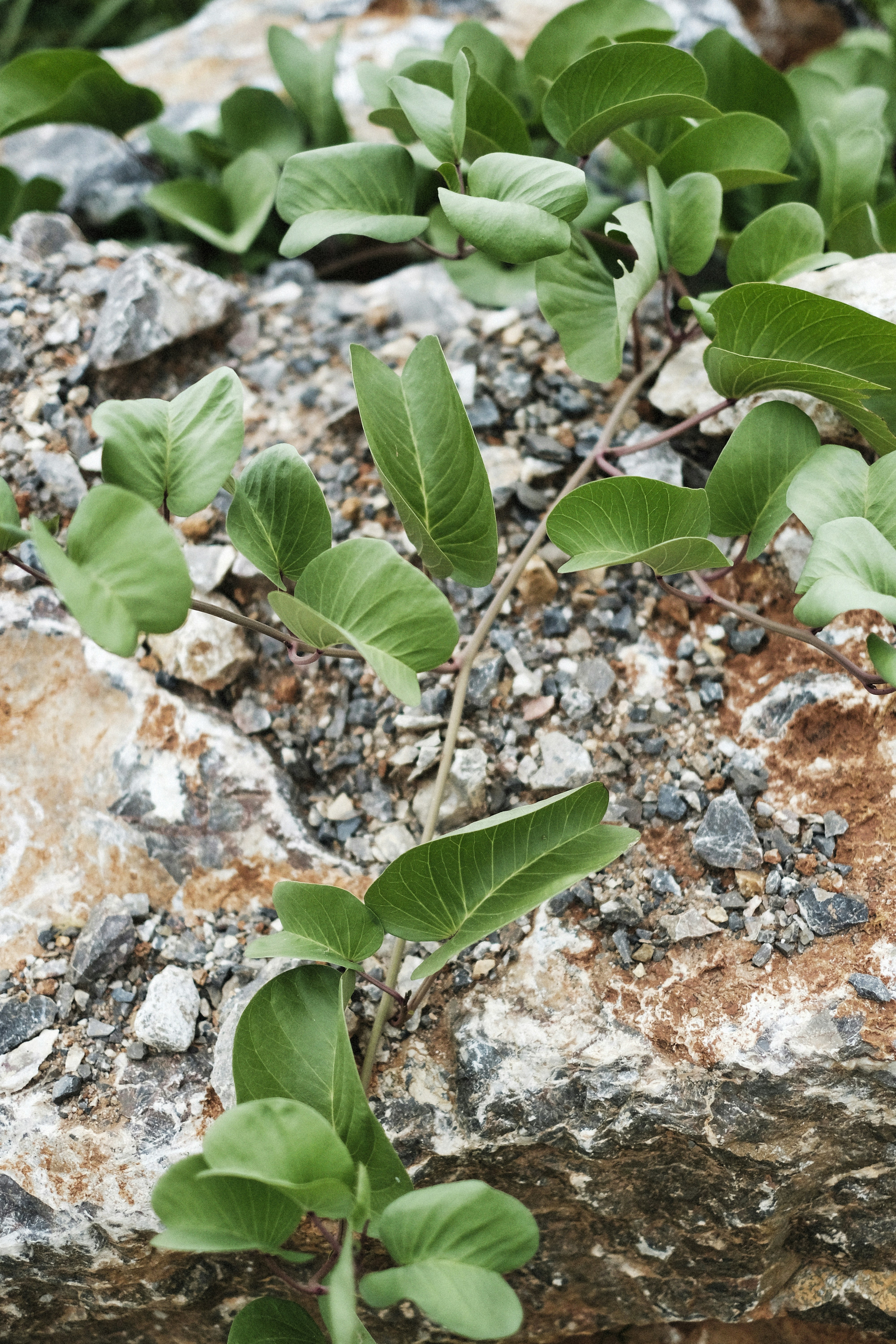 Photo by Alexey Demidov with Fujifilm X-E3