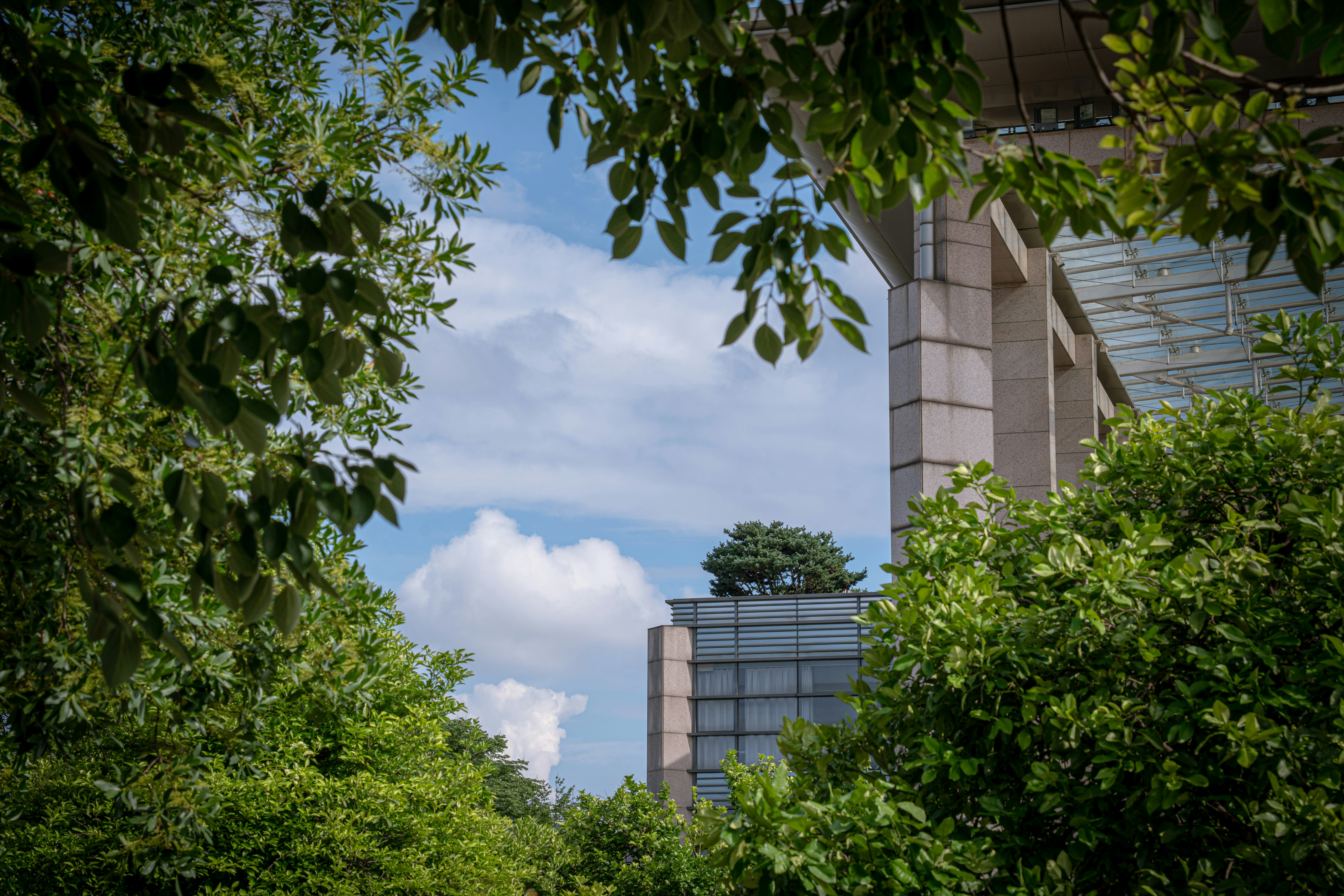 Lush greenery frames a modern building under a clear blue sky, showcasing the harmony between nature and urban design.