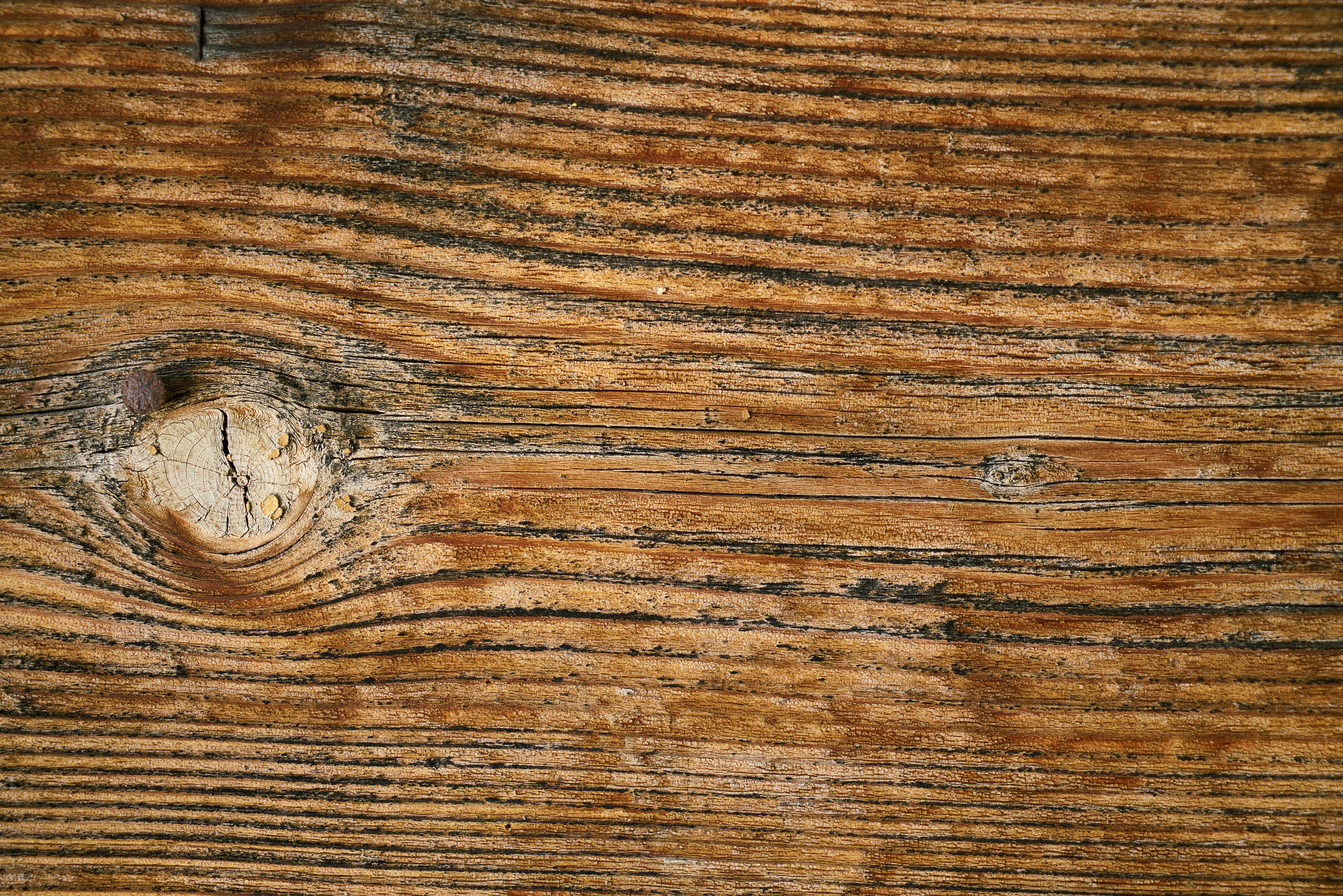Wood Background | Close-up of a wooden board with natural grain.