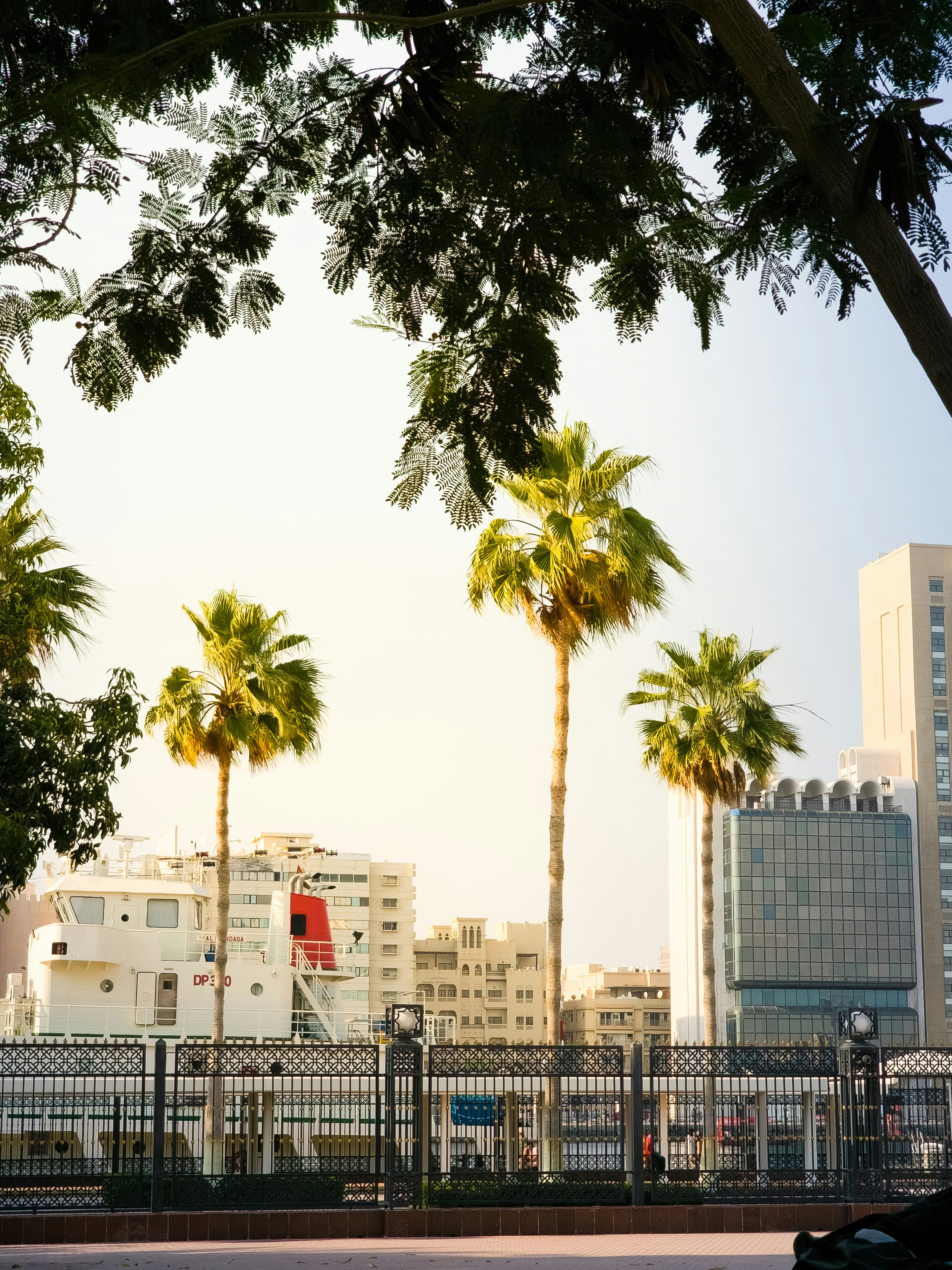 Palm trees and buildings are visible in the city.