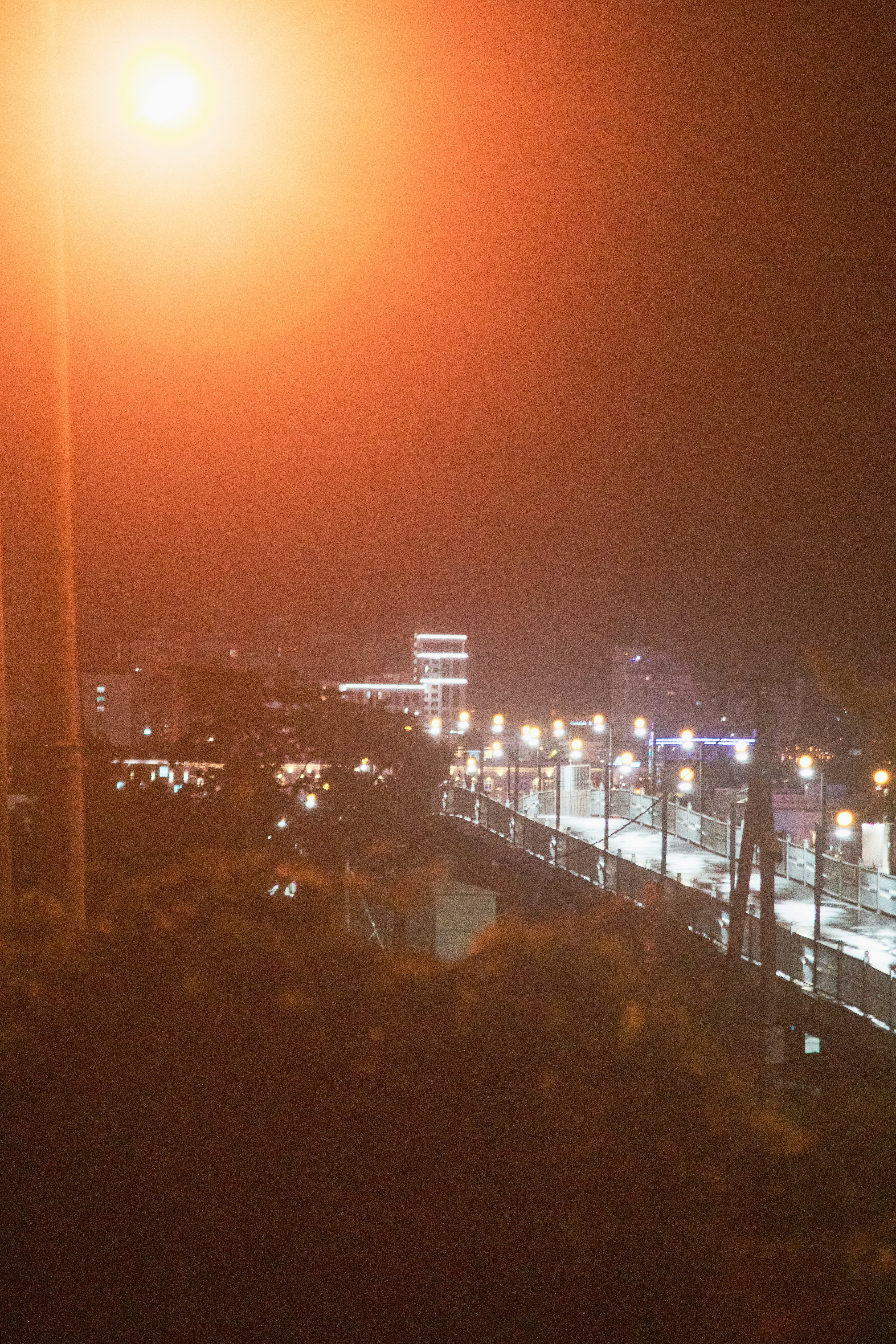 View of the bridge, illuminated by streetlights, in the night city, with high-rise buildings in the background, seen from behind the bushes.