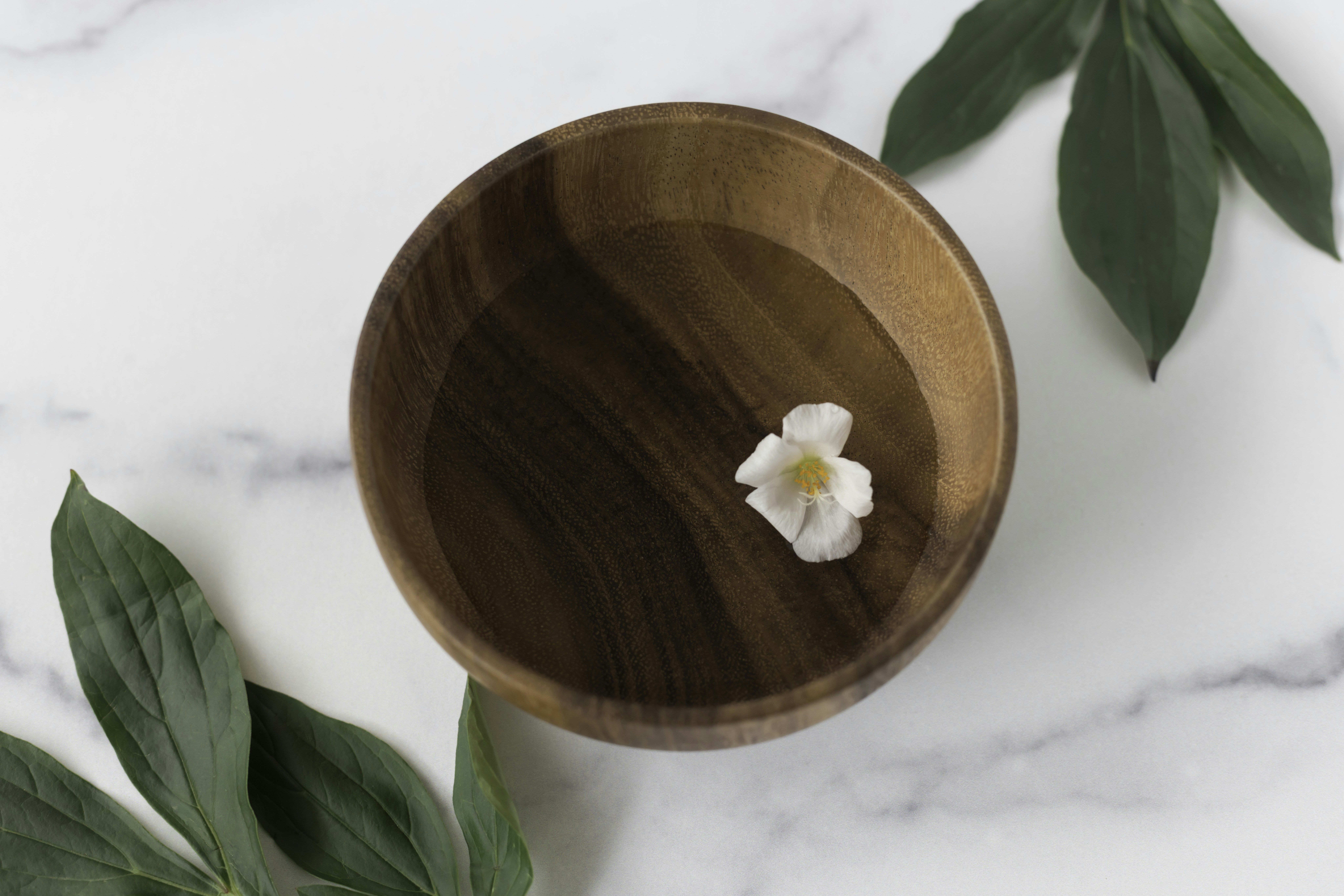 A wooden bowl cradles a delicate white flower, surrounded by lush green leaves on a marble surface.