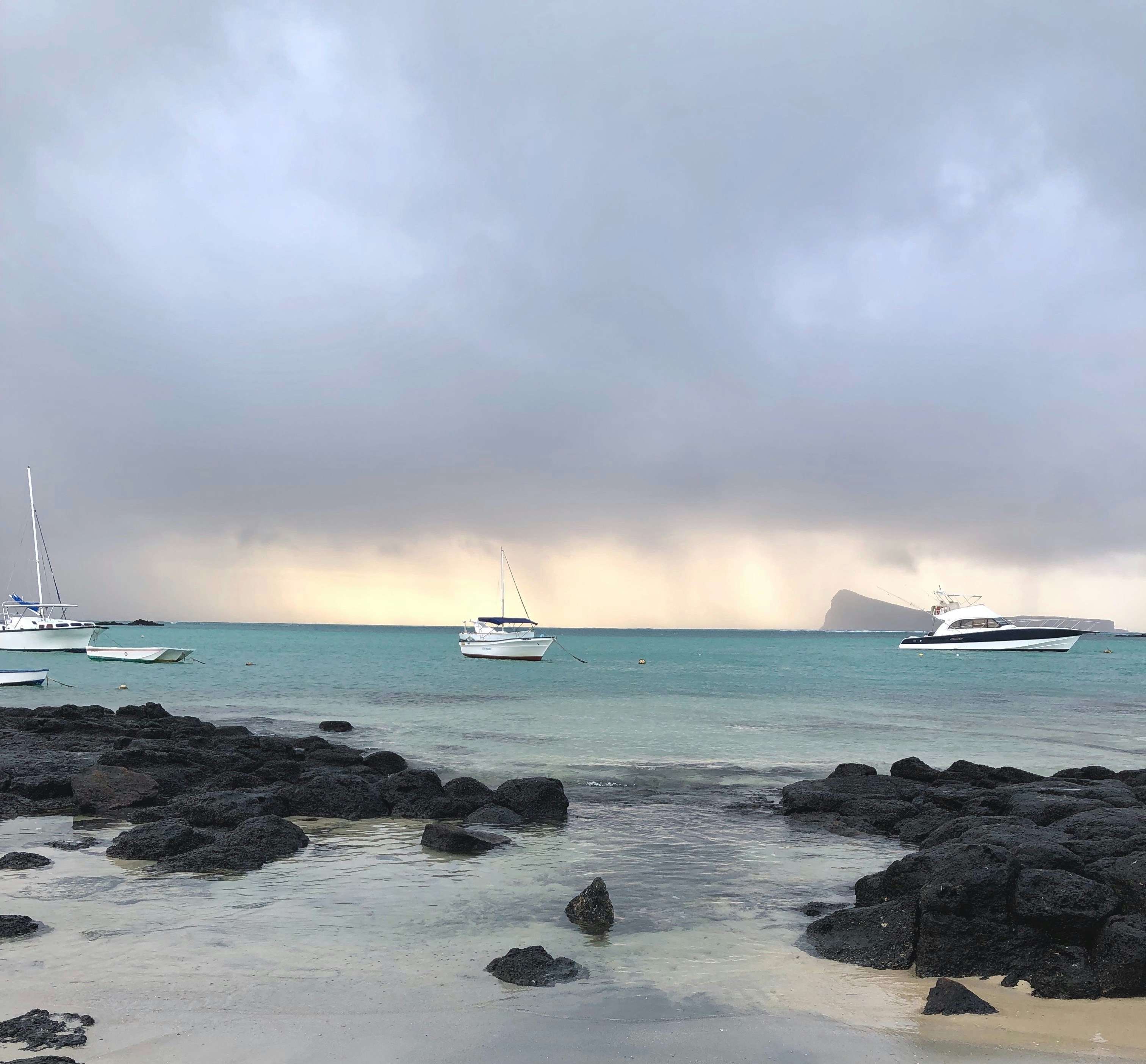 Serenity Amidst the Storm