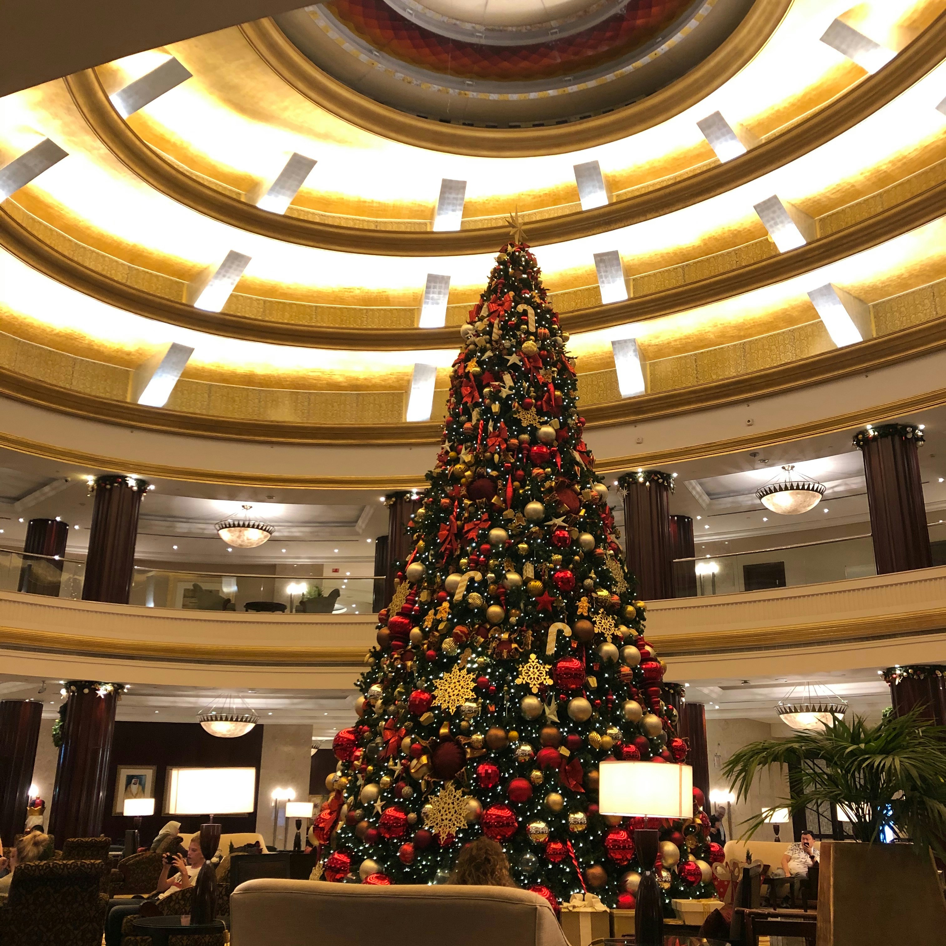 A grand christmas tree decorates a beautiful building.