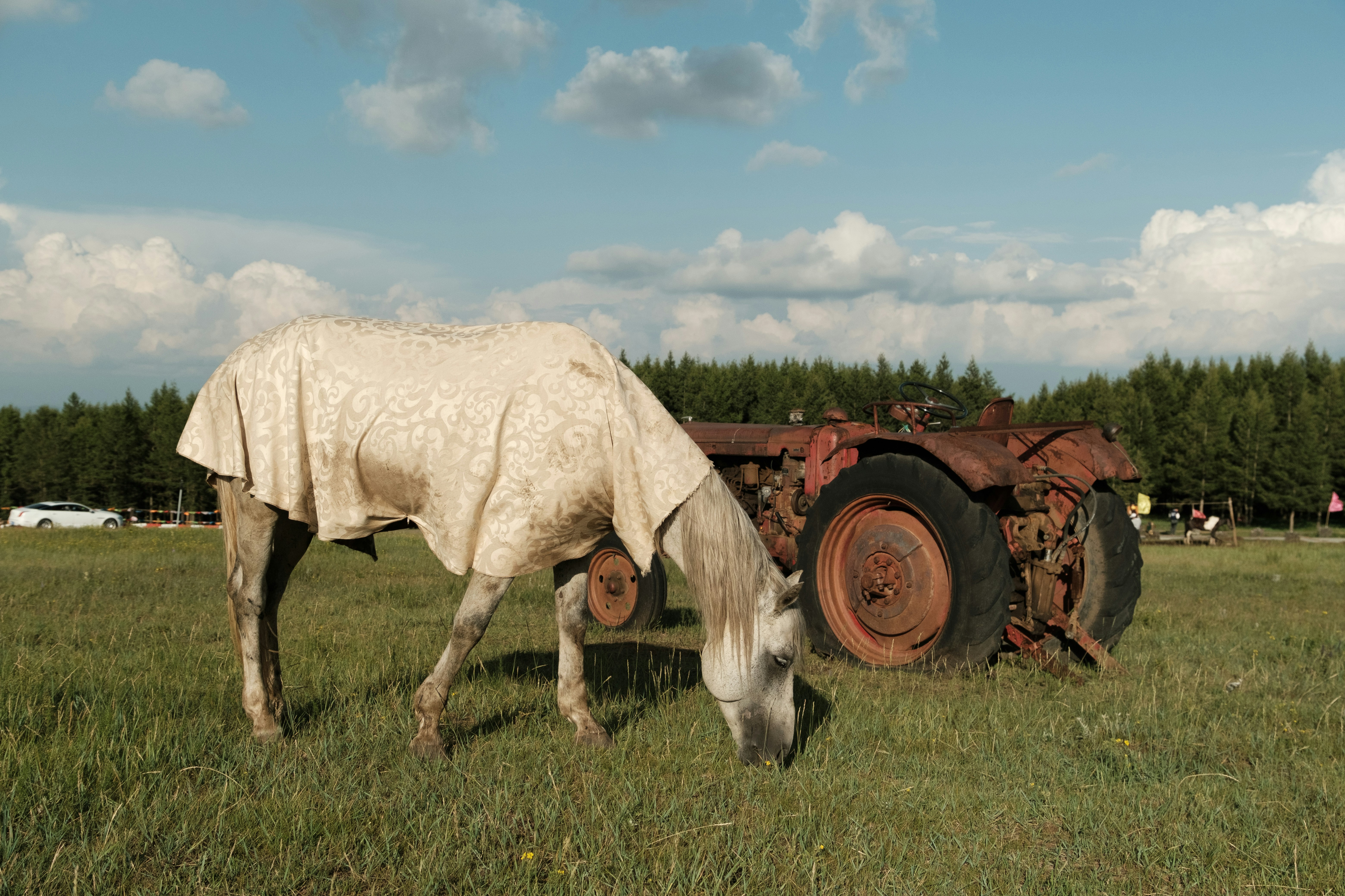 Pasture Confluence: A White Horse Grazes beside a Weathered Tractor under a Bright Sky
